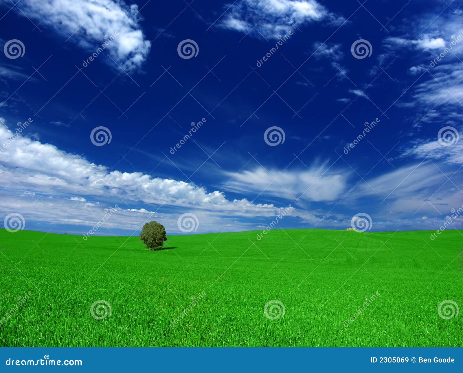 Green Country Field stock image. Image of green, abundance - 2305069
