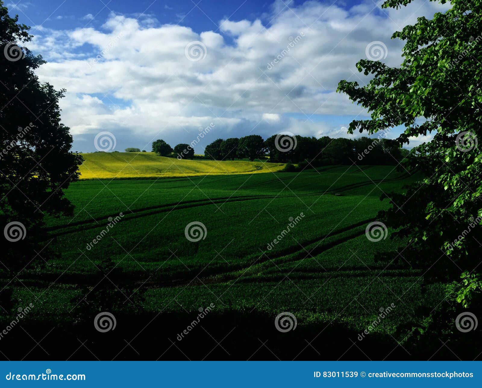 Green Country Fields, Germany Picture. Image: 83011539