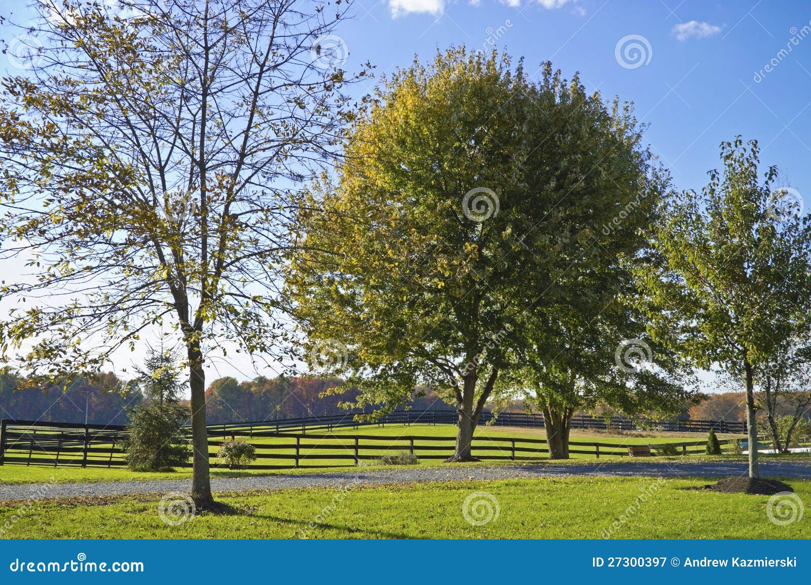Green Countryside stock image. Image of tree, landscape - 27300397