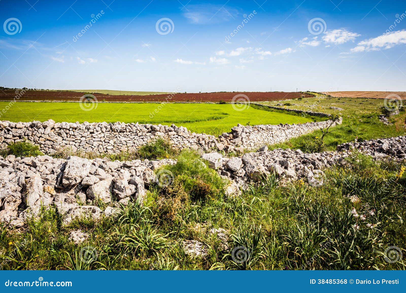 Green countryside stock photo. Image of beautiful, pastureland - 38485368