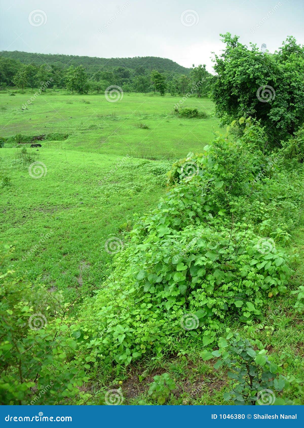 Green Countryside Landscape Stock Photo - Image of outdoors, colorful ...