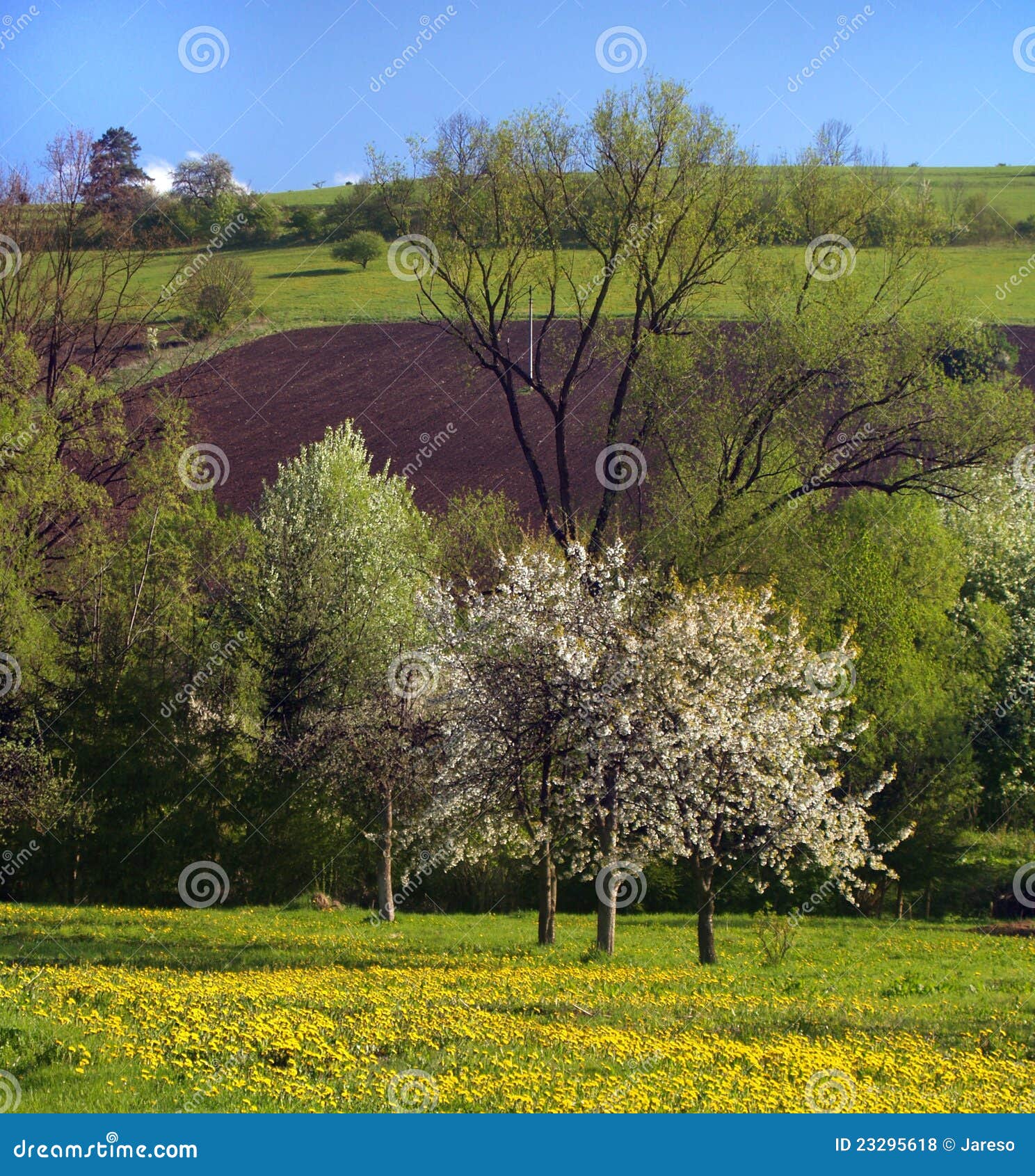 Green Countryside Landscape Stock Photo - Image of flowering, greenery ...