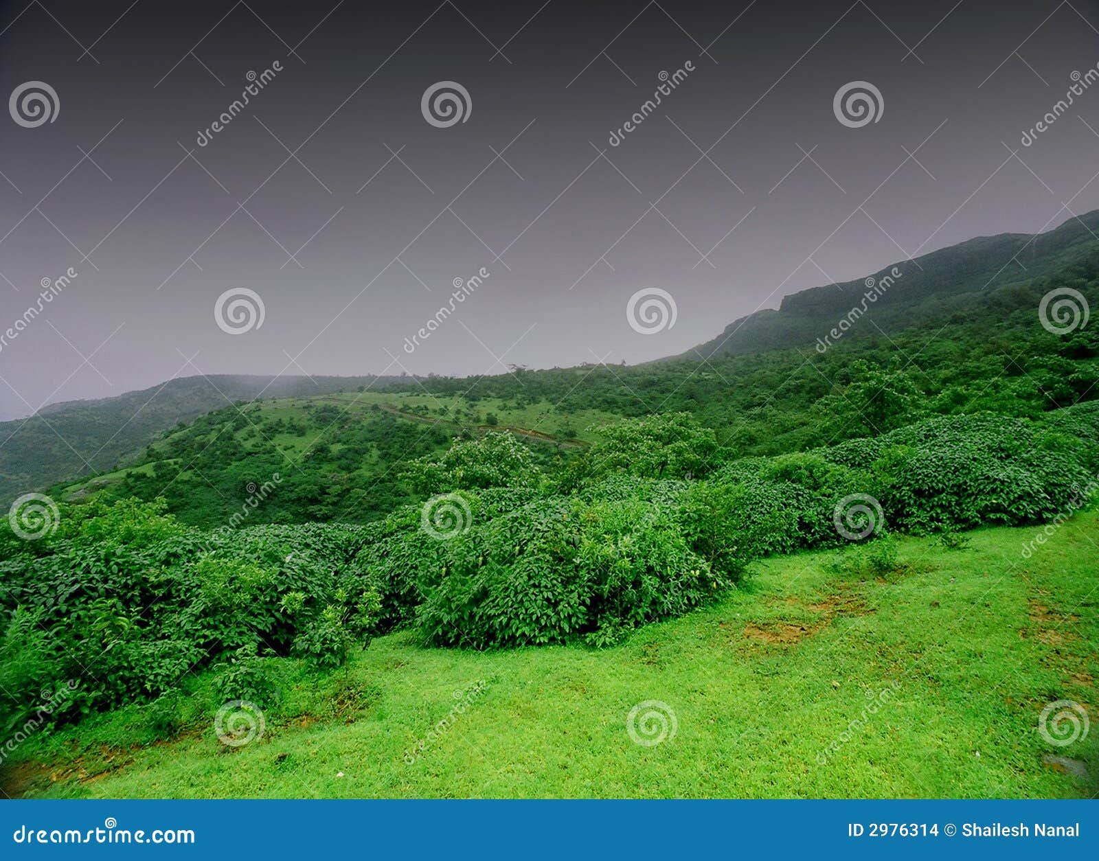 Green Countryside Landscape Stock Photo - Image of colorful, leaves ...