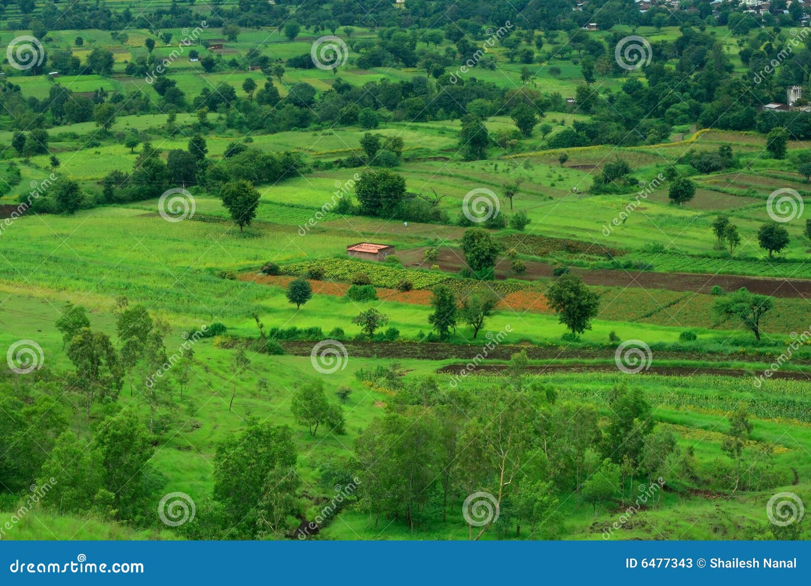 Green Countryside Landscape Stock Image - Image of countryside, scenic ...