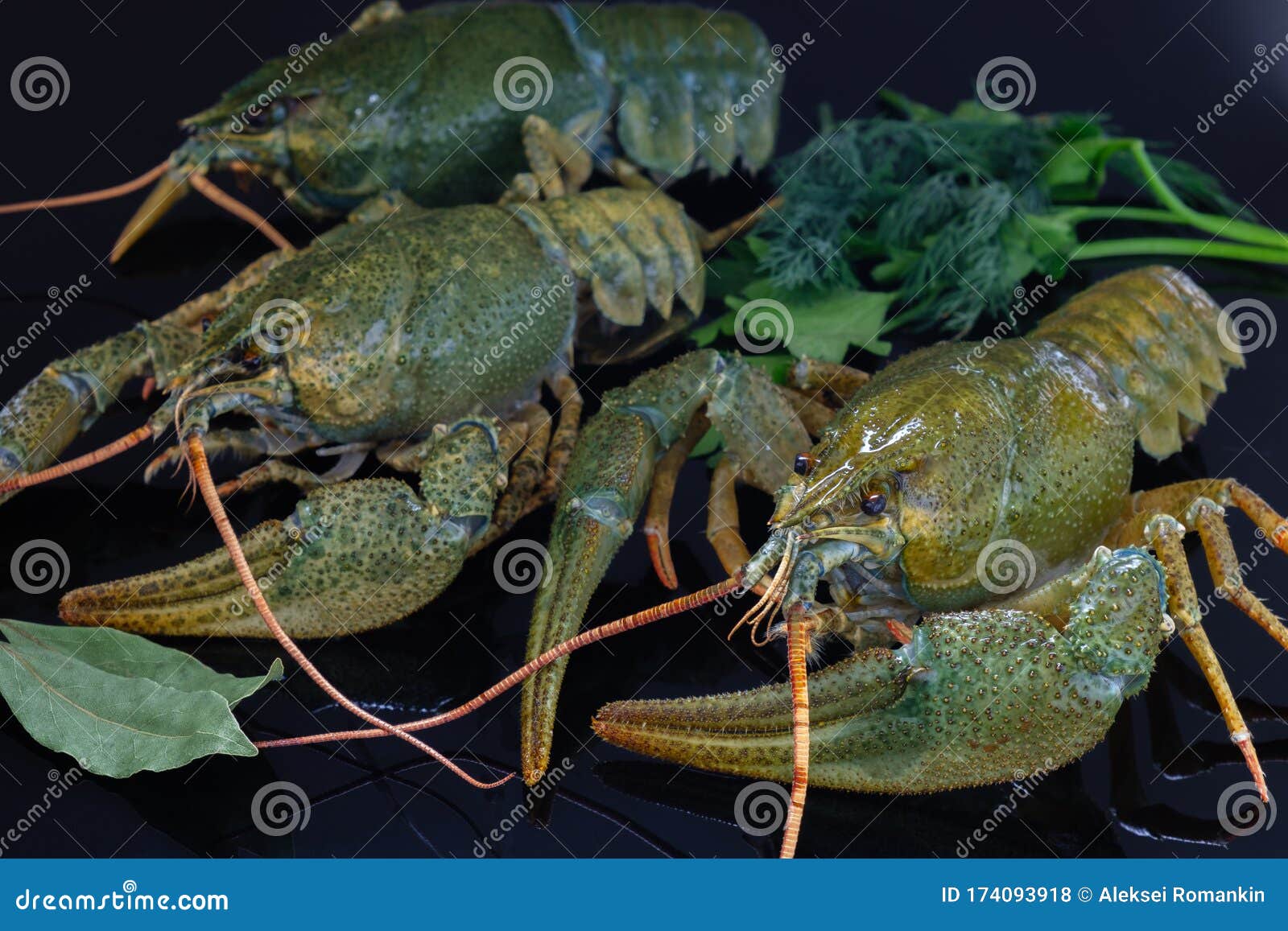 Green Crayfish. Preparation for Cooking Stock Photo - Image of dish ...