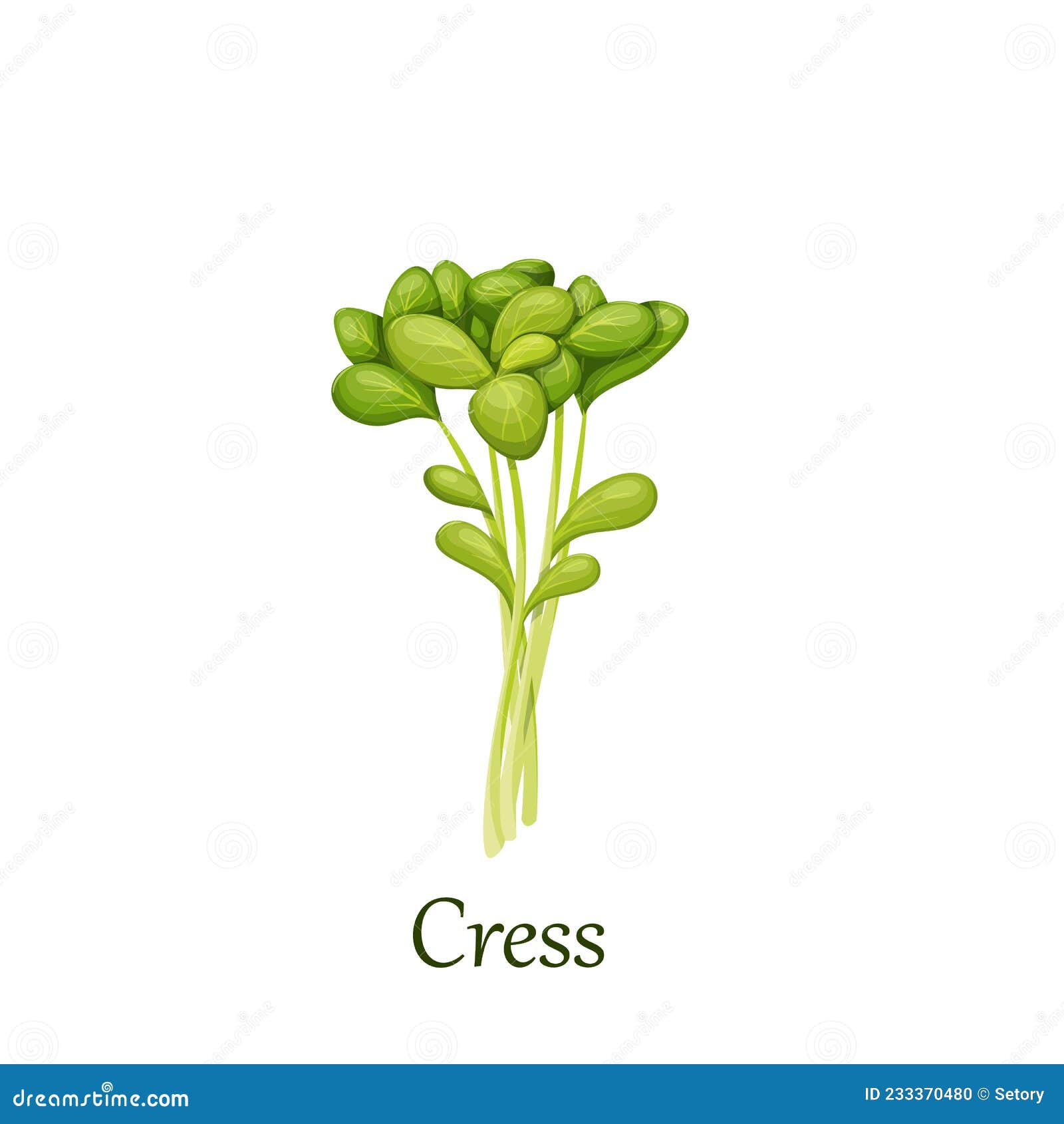 Cress Cartoons, Illustrations & Vector Stock Images - 1826 Pictures to ...