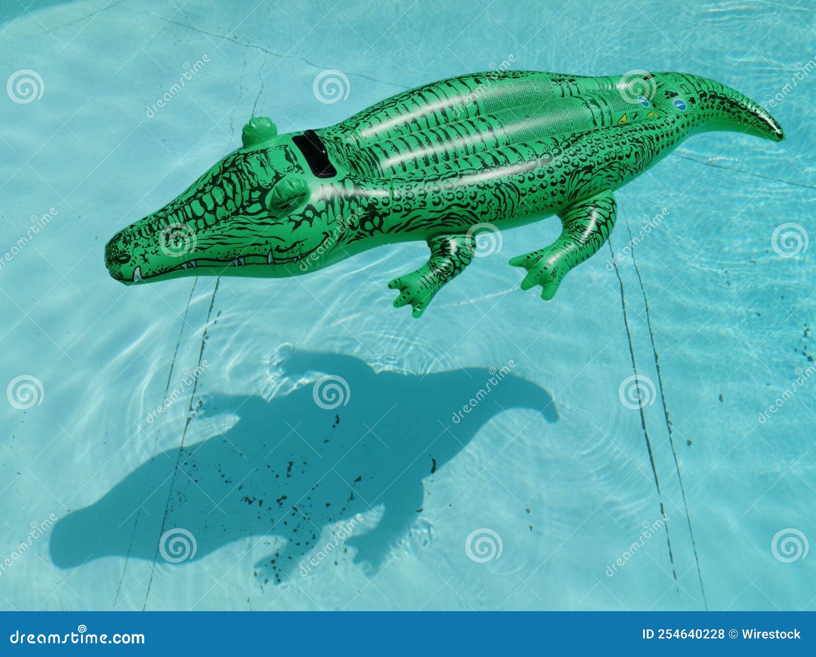 A Crocodile-shaped Marvel Comes To Life, Sculpted Through The Union Of ...