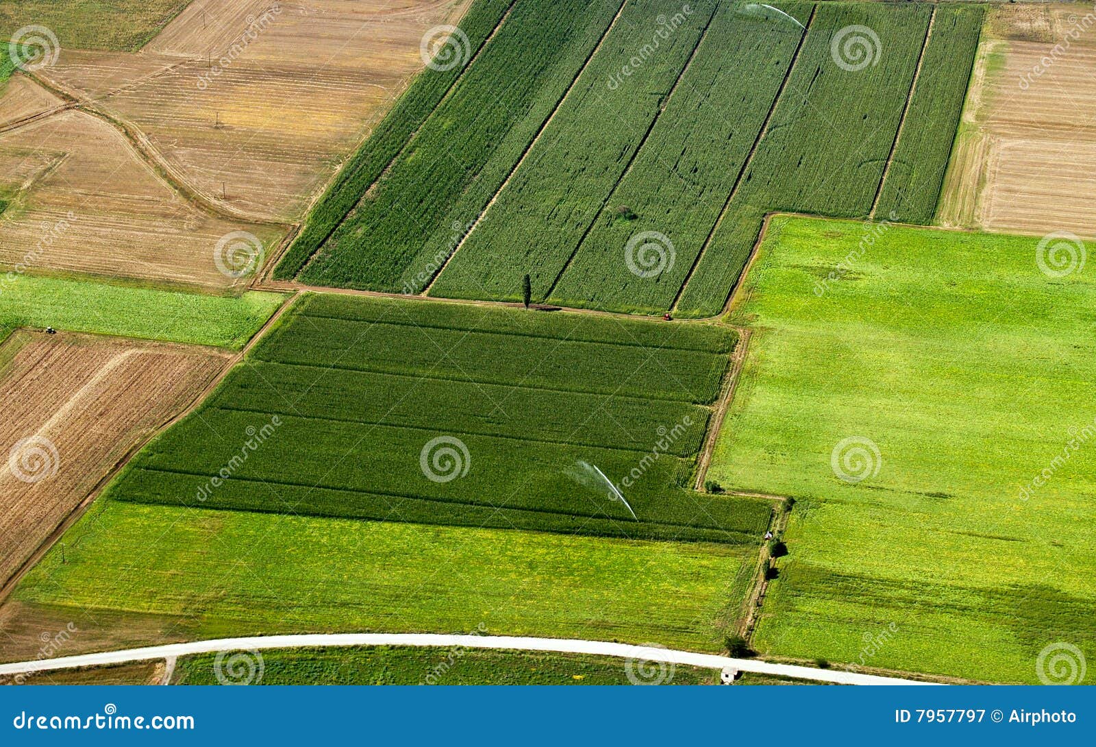 Green crop fields stock image. Image of farming, aerial - 7957797
