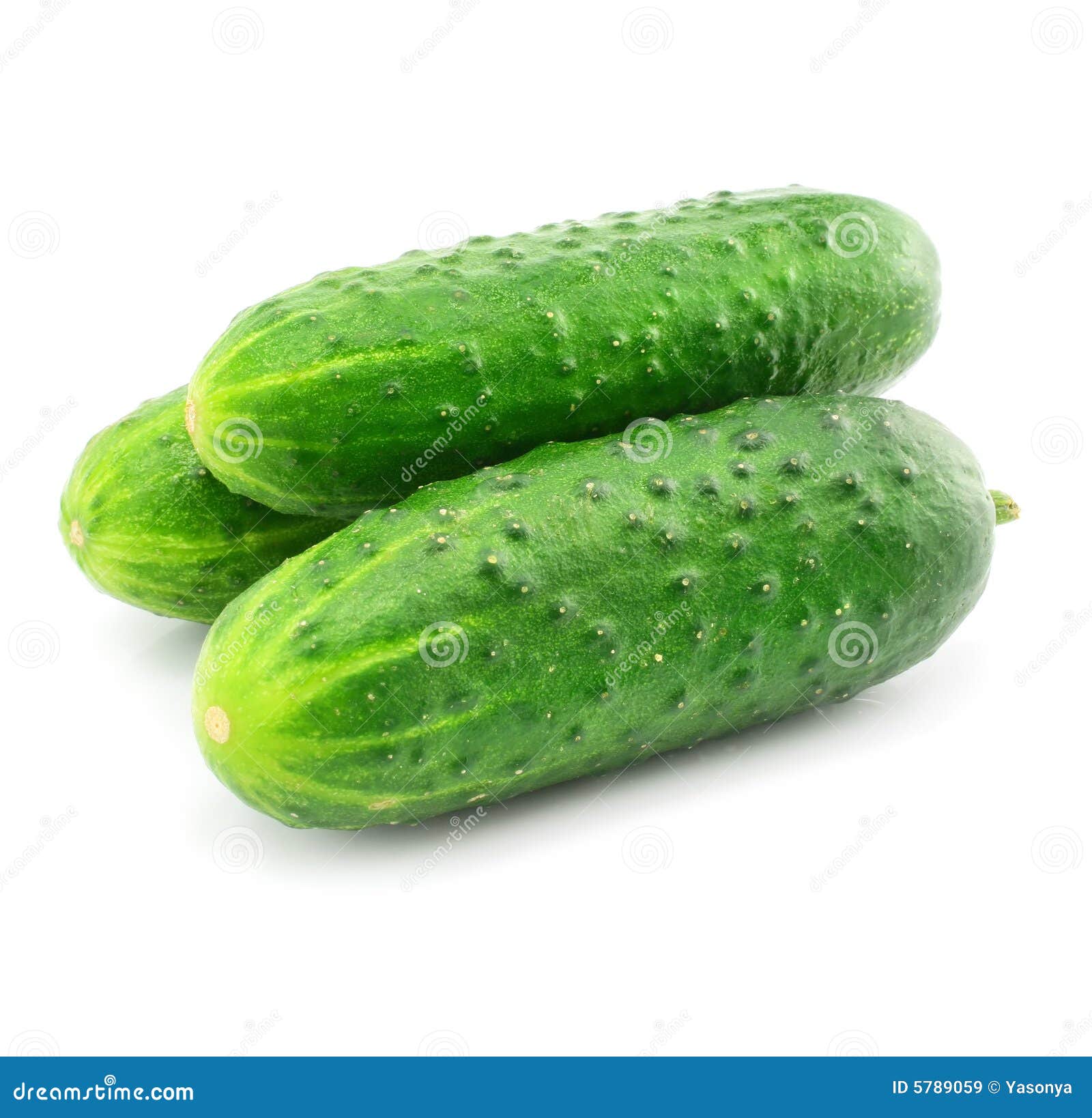 Green Cucumber Vegetable Fruits Isolated Stock Image - Image of fruit ...