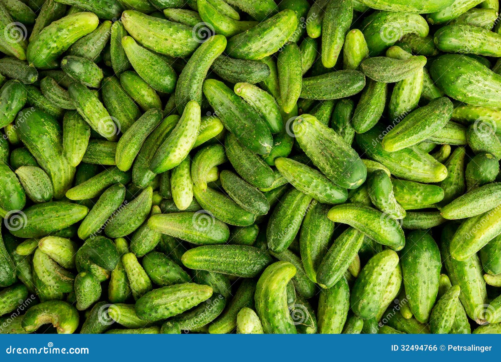 Green Cucumbers, Background Stock Photo - Image of color, agriculture ...