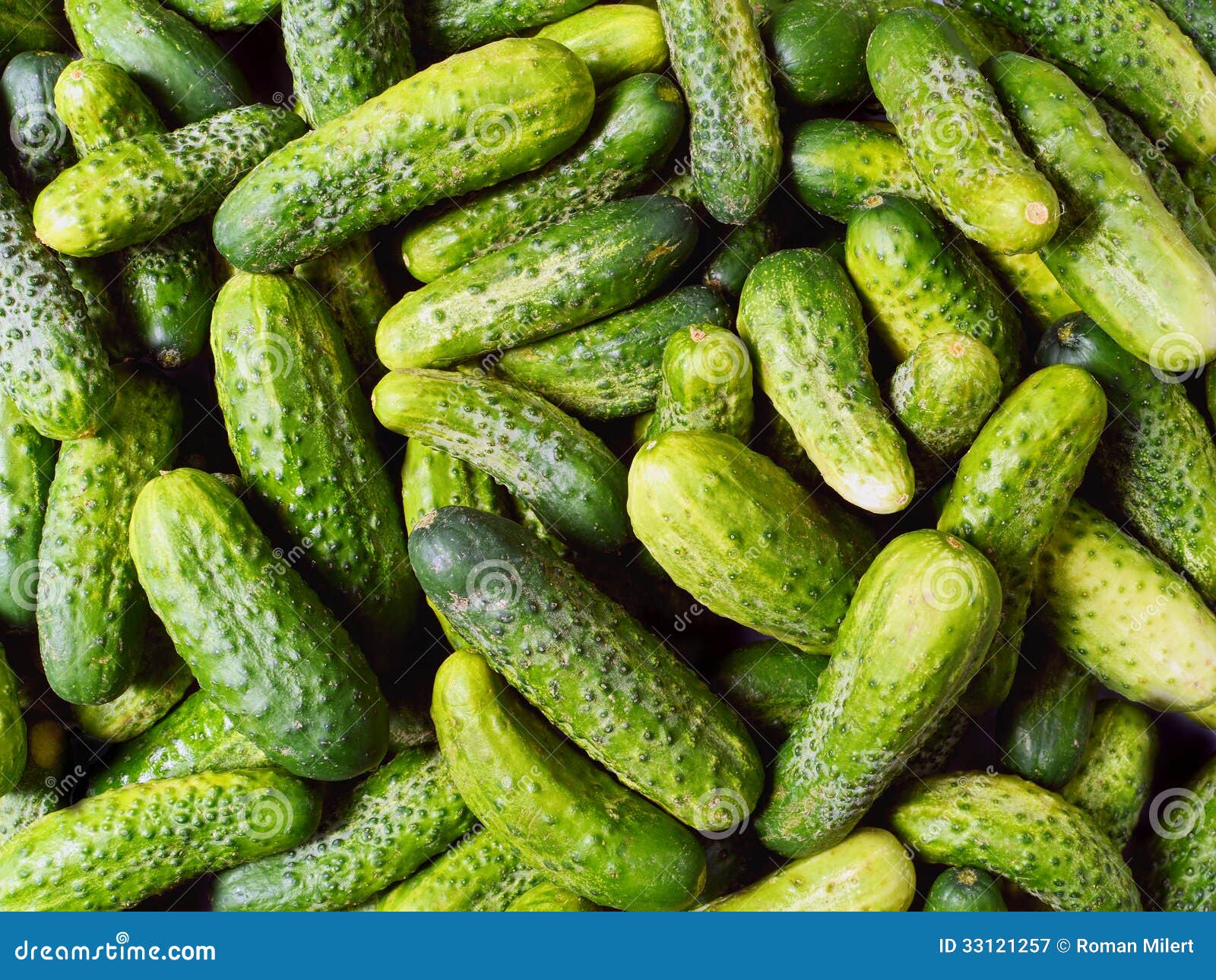 Green cucumbers stock image. Image of seasonal, meal - 33121257