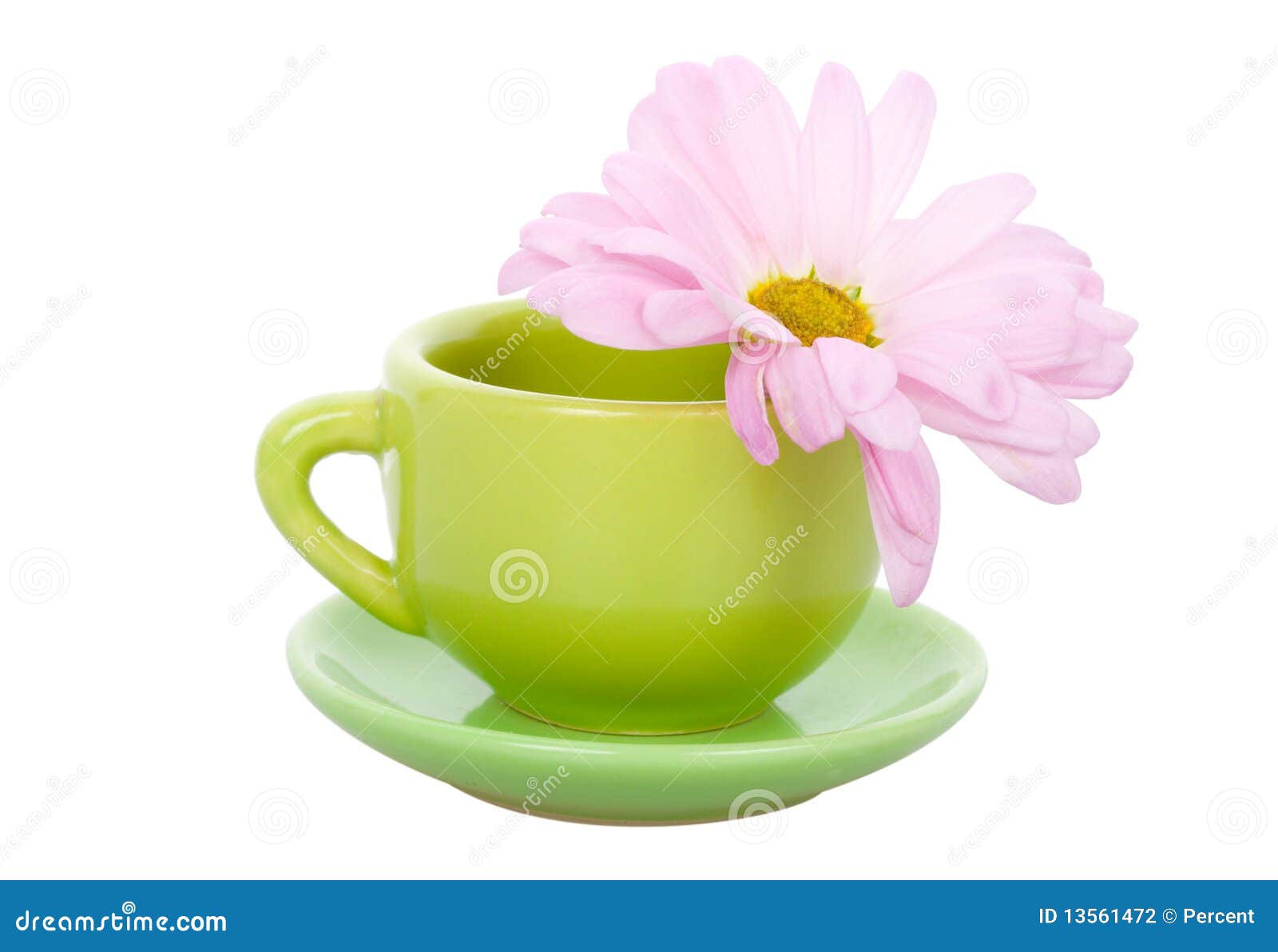 Green cup with flower stock photo. Image of saucer, single - 13561472