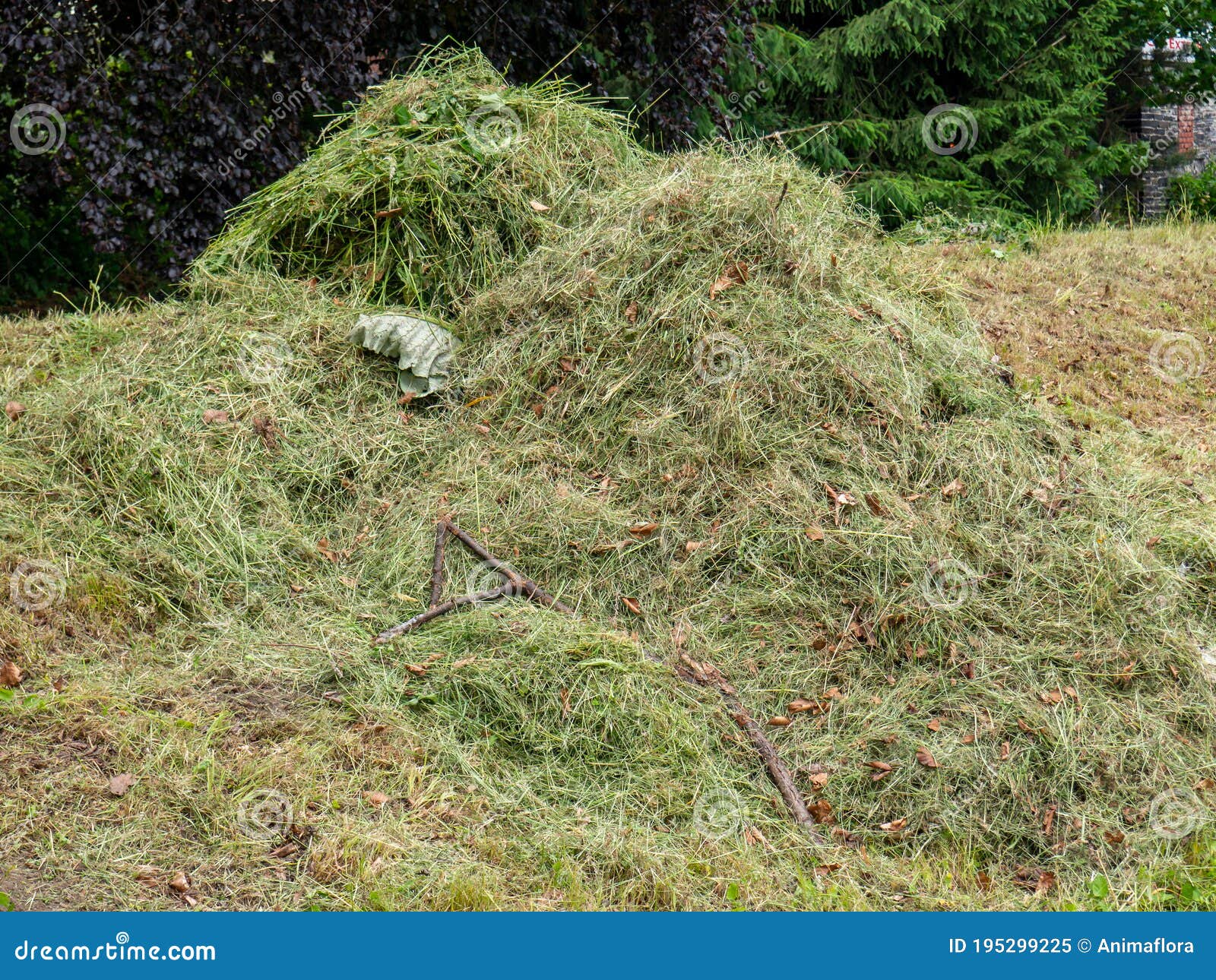 Green Cut Grass Pile in the Park Stock Image - Image of dirt, garden ...