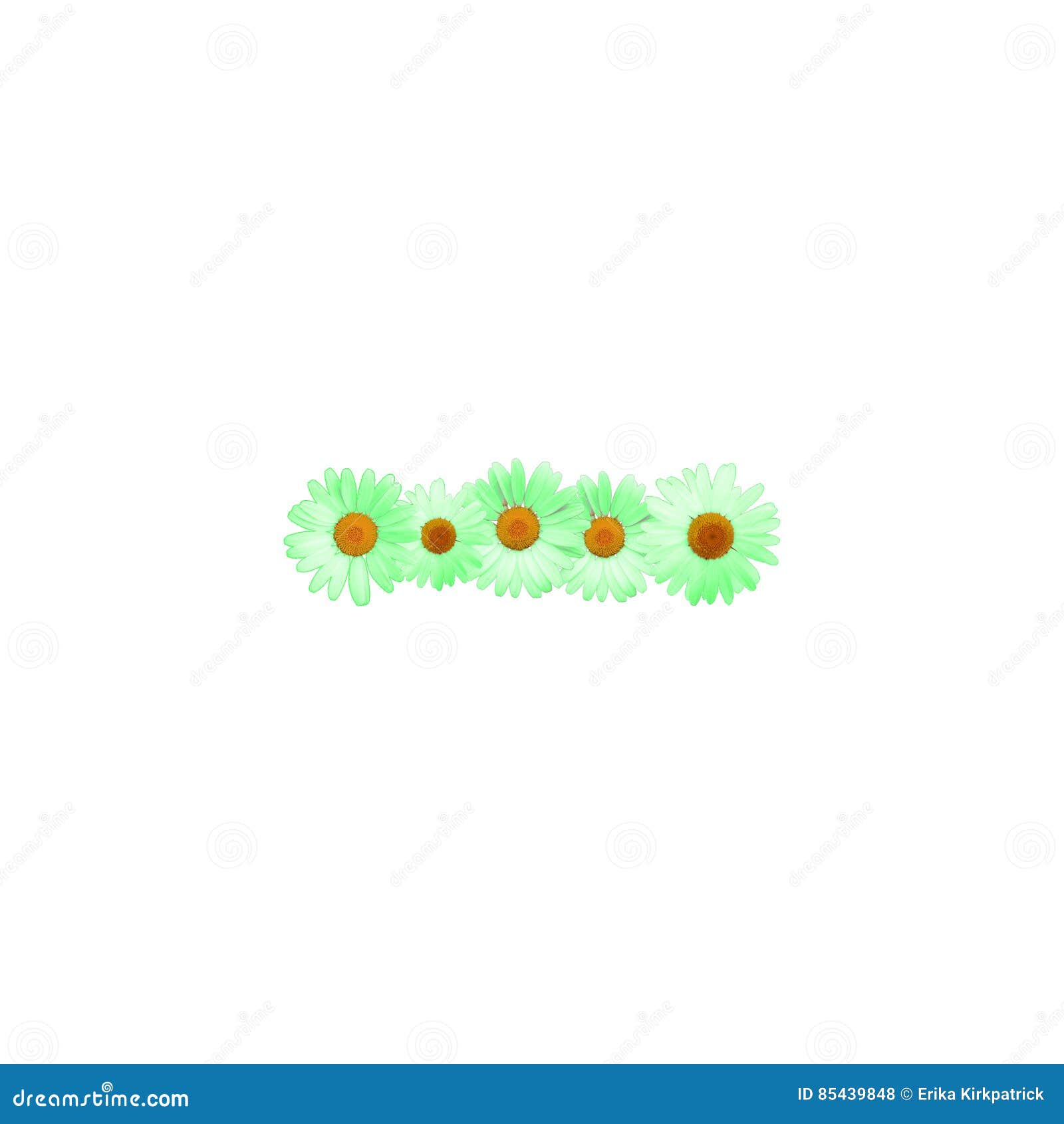 Green Daisy Hyphen Mark stock illustration. Illustration of colorful ...