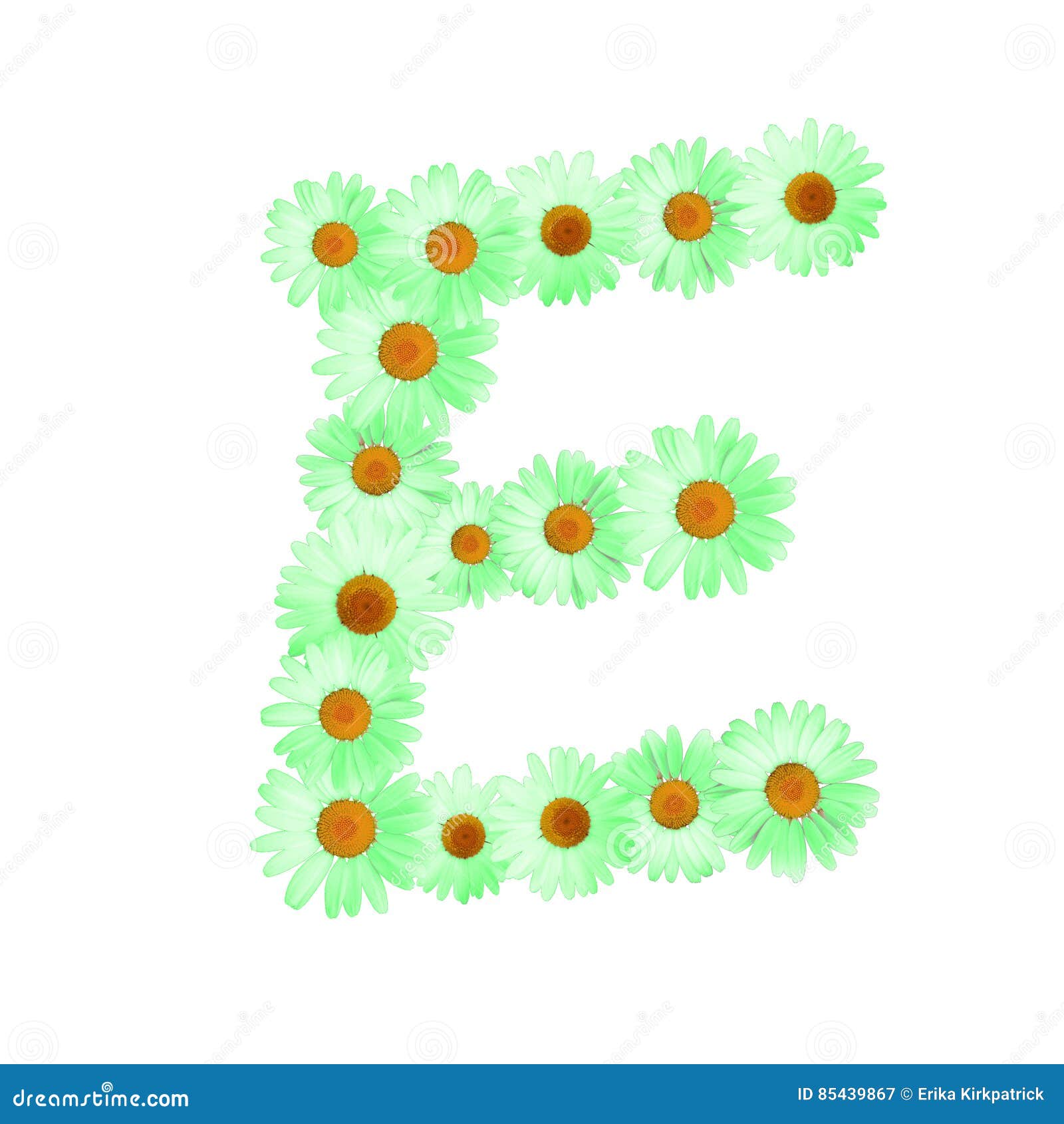 Green Daisy Letter E stock illustration. Illustration of flora - 85439867