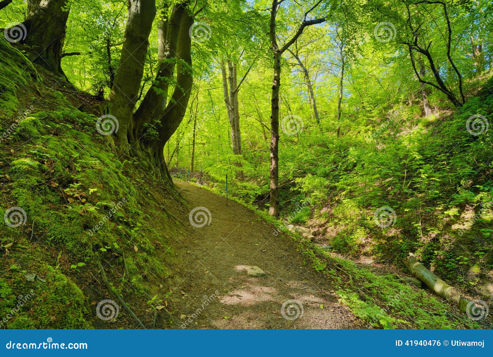 103,735 Way Trail Nature Stock Photos - Free & Royalty-Free Stock ...