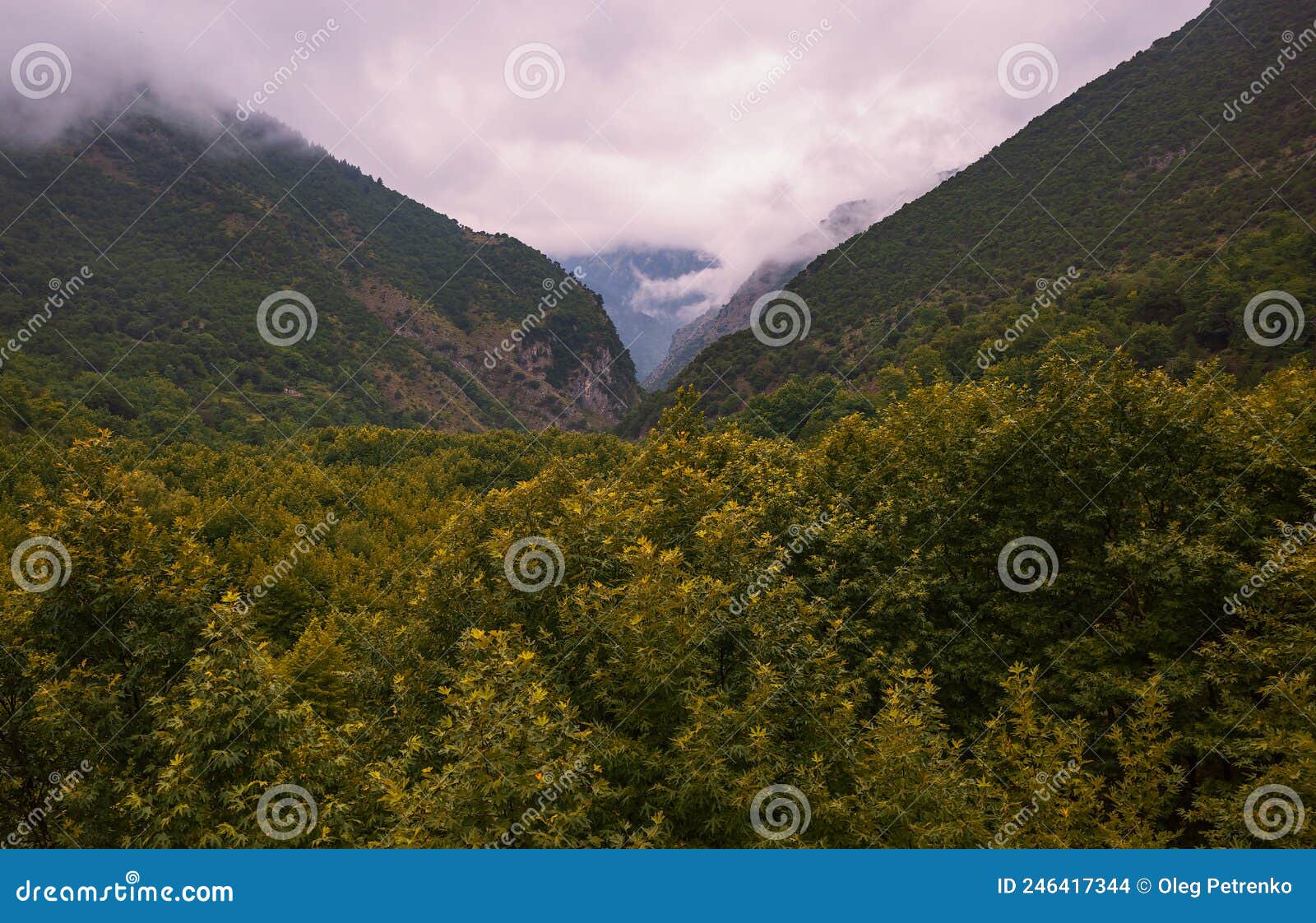 Green Deciduous Trees and Mountain in Greece Stock Photo - Image of ...