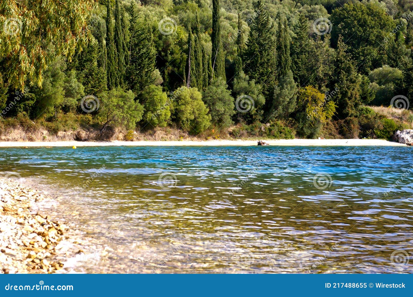 Deciduous Trees and Shrubs on the Riverbank Stock Image - Image of ...