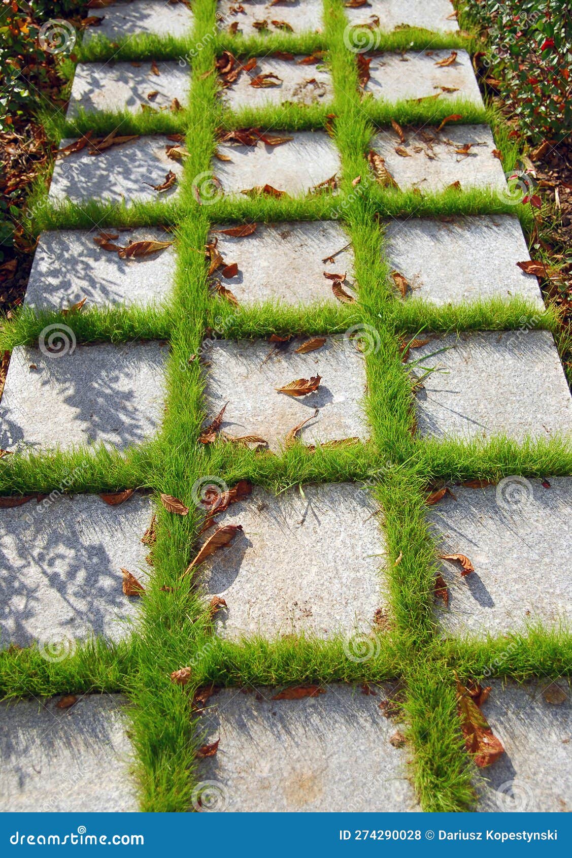Green Decorative Grass between Pavement Plates Stock Photo - Image of ...