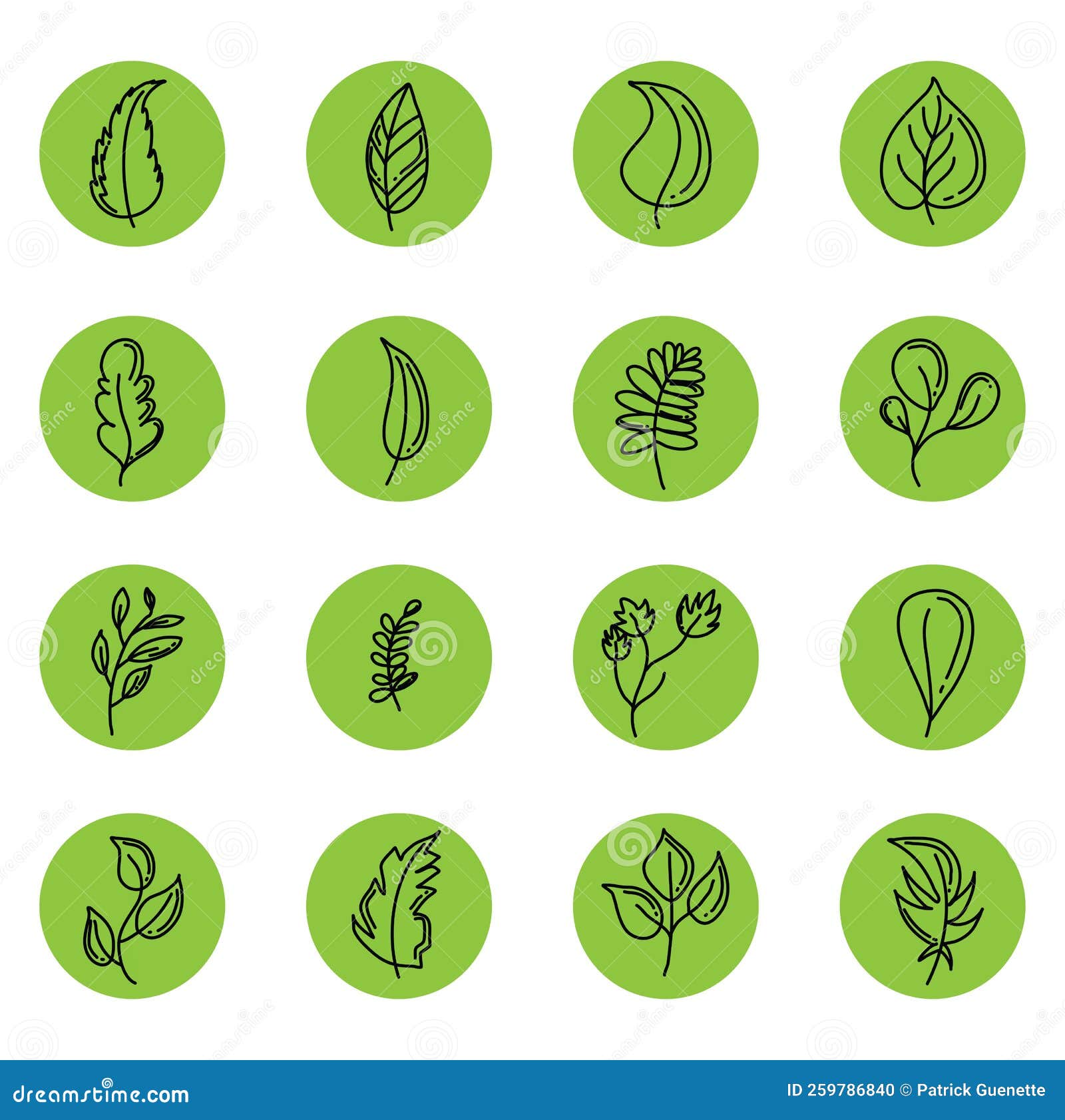 Green Decorative Leaves, Icon Stock Vector - Illustration of decorative ...