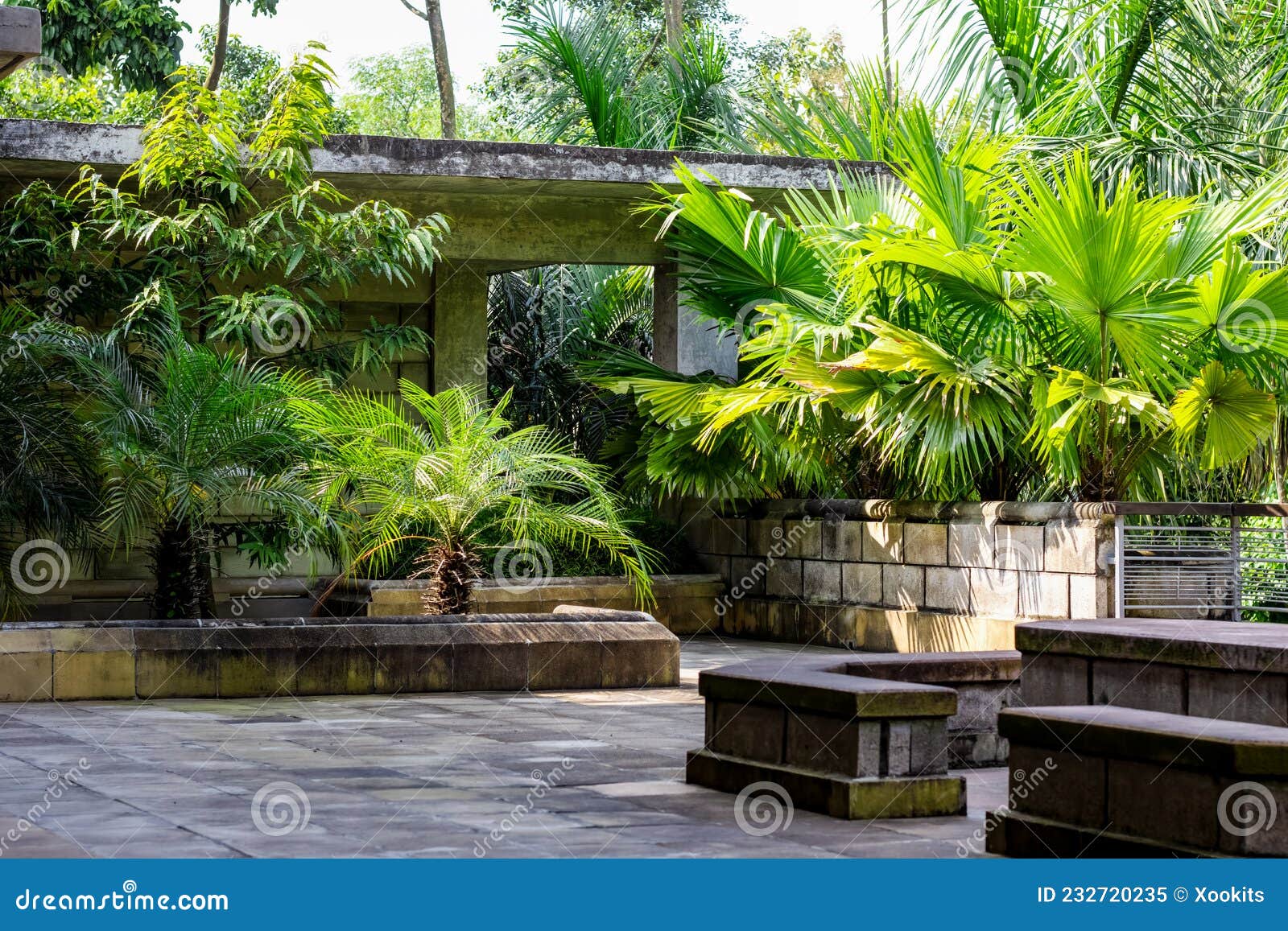 Green Decorative Palm Tree in the Rooftop Garden Stock Image - Image of ...