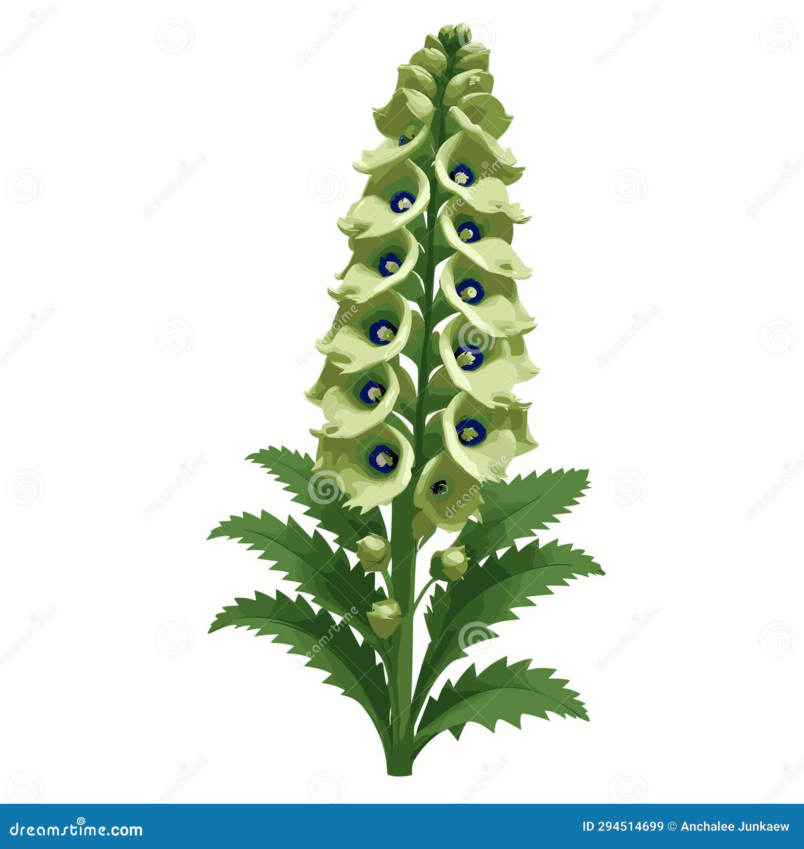 Green Delphinium Flower Vector Stock Vector - Illustration of ...