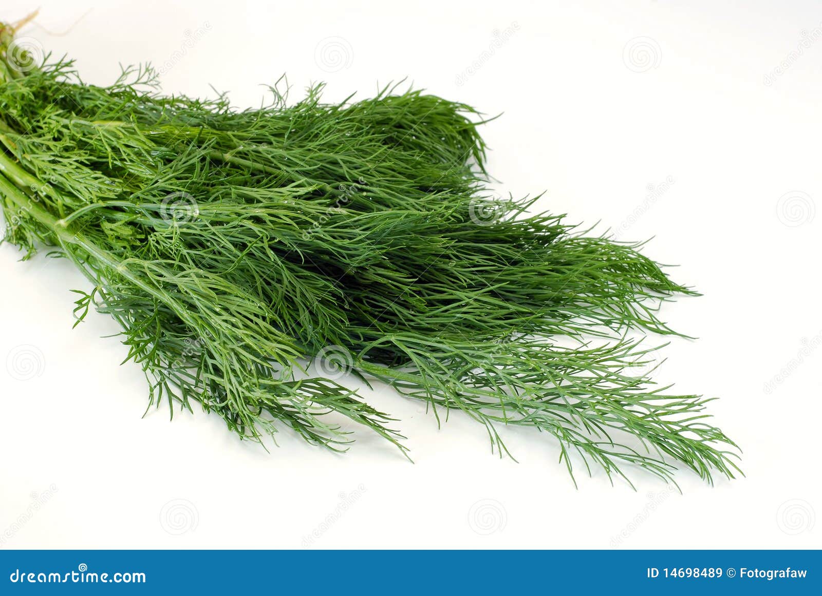 168 Dill Tops Stock Photos - Free & Royalty-Free Stock Photos from ...
