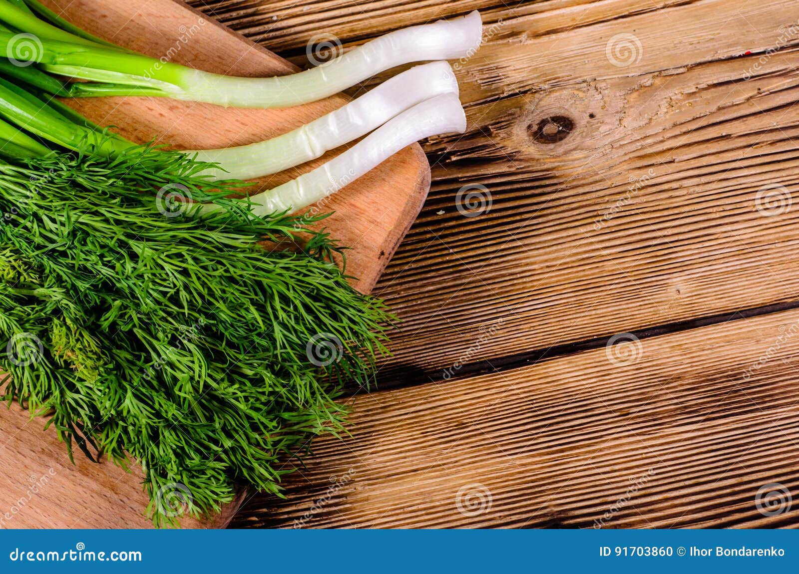 Green Dill and Onion on Cutting Board. Top View Stock Photo - Image of ...