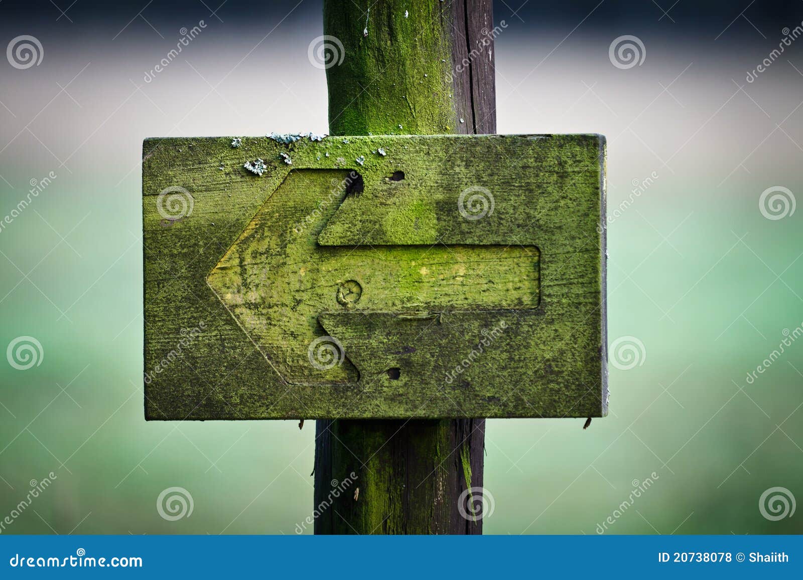 Green directional sign stock photo. Image of forest, trunk - 20738078