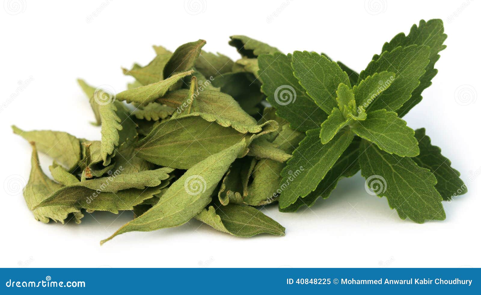 Stevia Leaves (dried) For Use As Background Image Or As Texture Stock ...