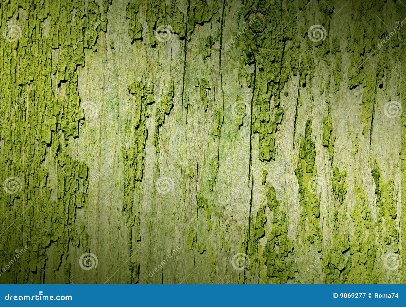 Green dirty material stock image. Image of cracked, paint - 9069277