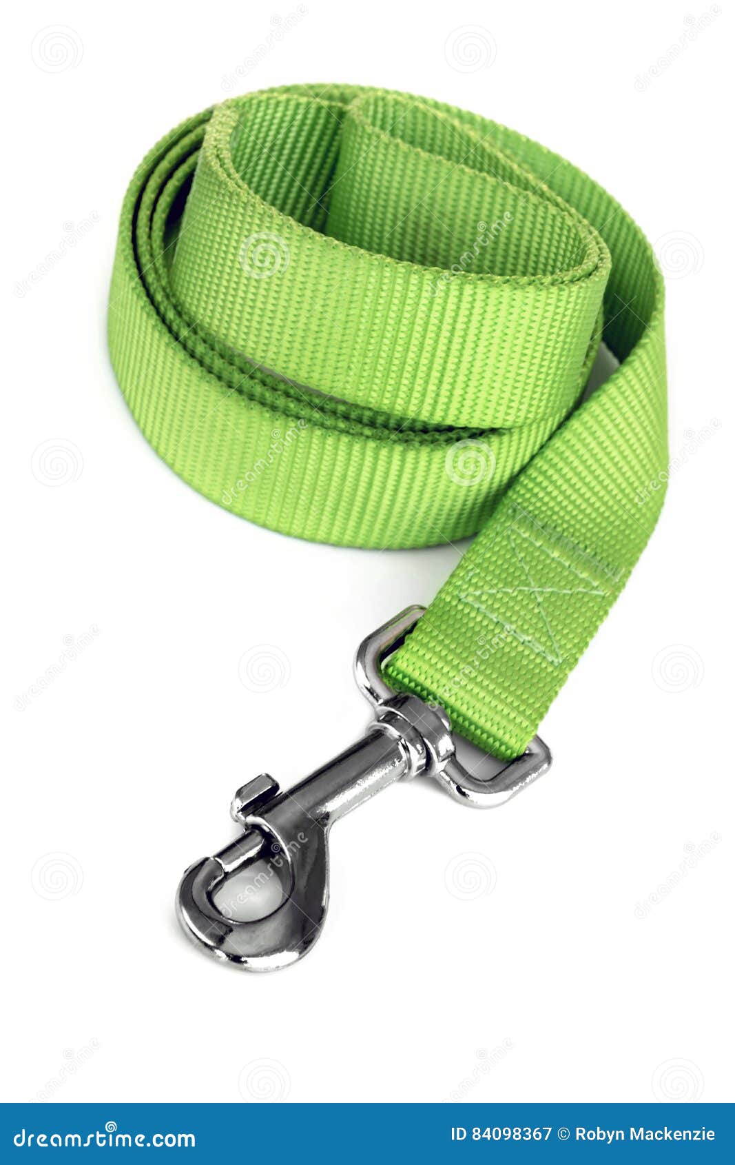 Green Dog Leash Isolated on White Stock Image - Image of loop, restrain ...