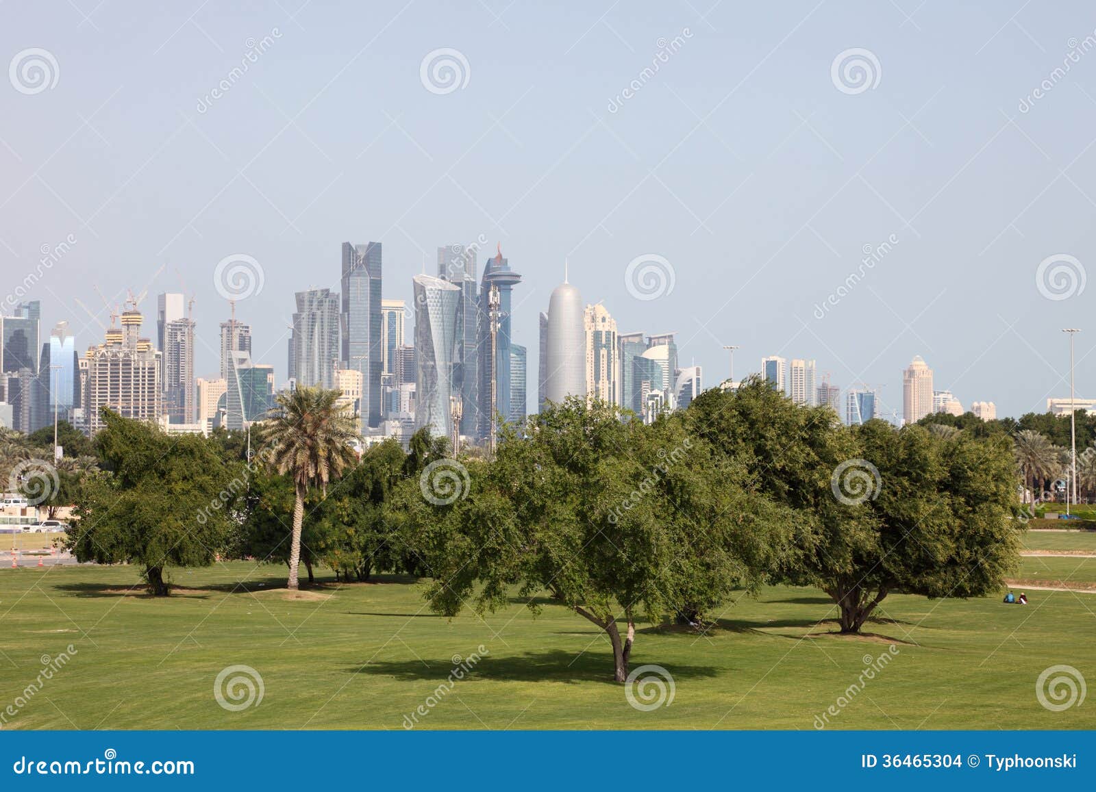 Green Doha, Qatar stock photo. Image of trees, grass - 36465304