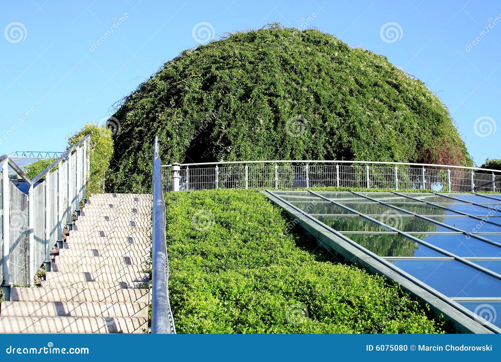 Green dome. stock photo. Image of library, line, city - 6075080