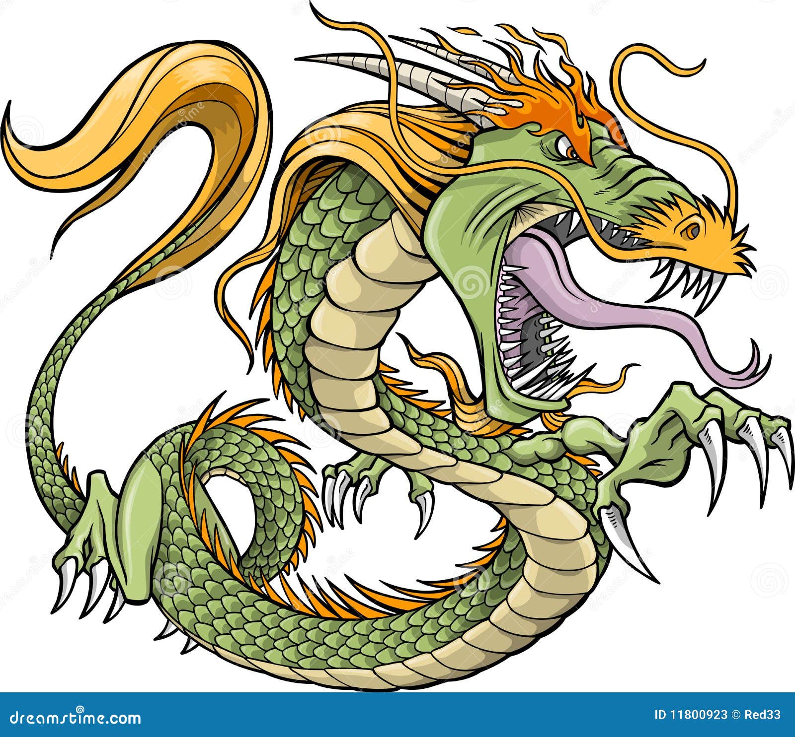 Green Dragon Vector stock vector. Illustration of isolated - 11800923
