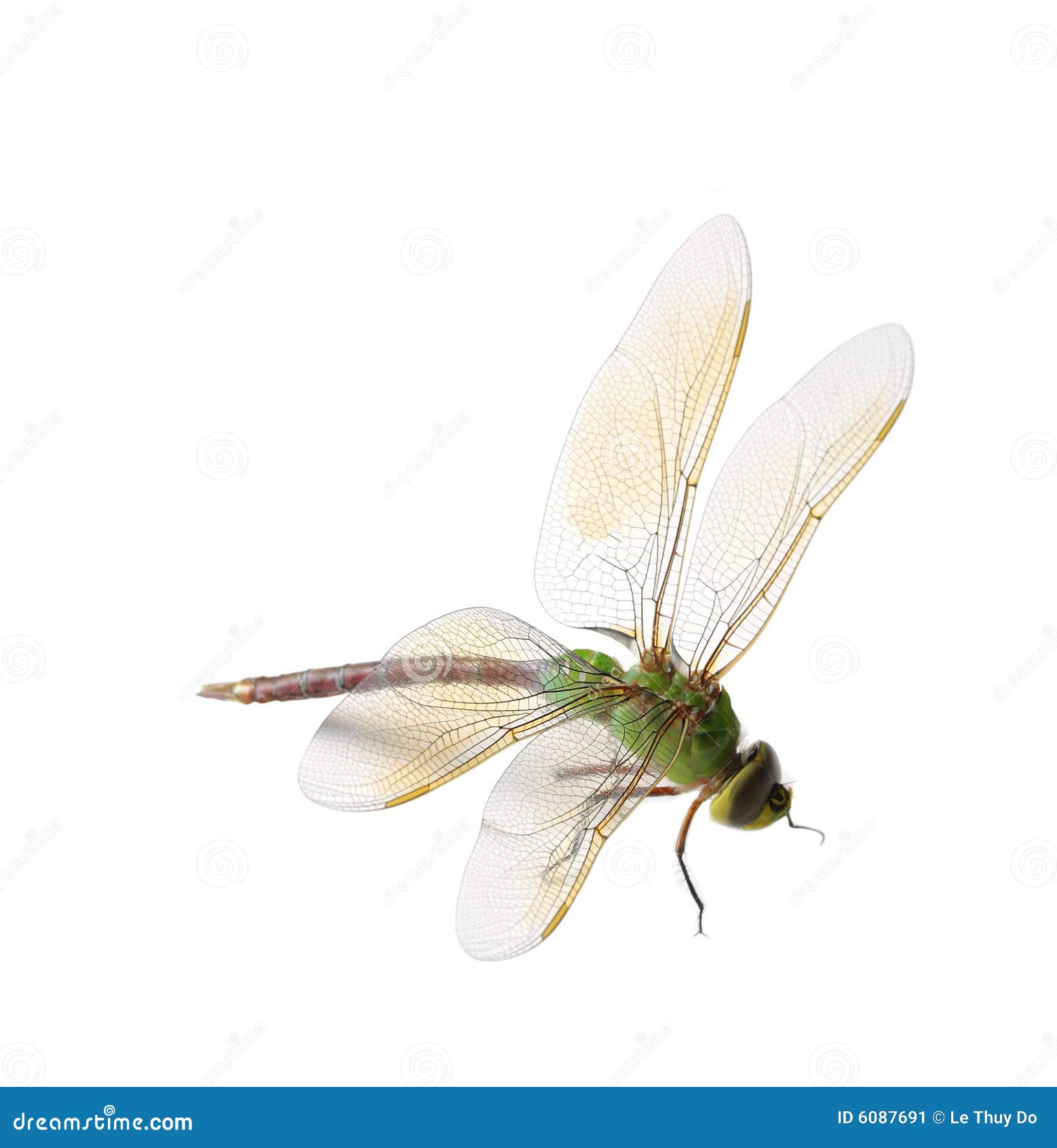 Green Dragonfly With Shadow On Wooden Texture Stock Image ...