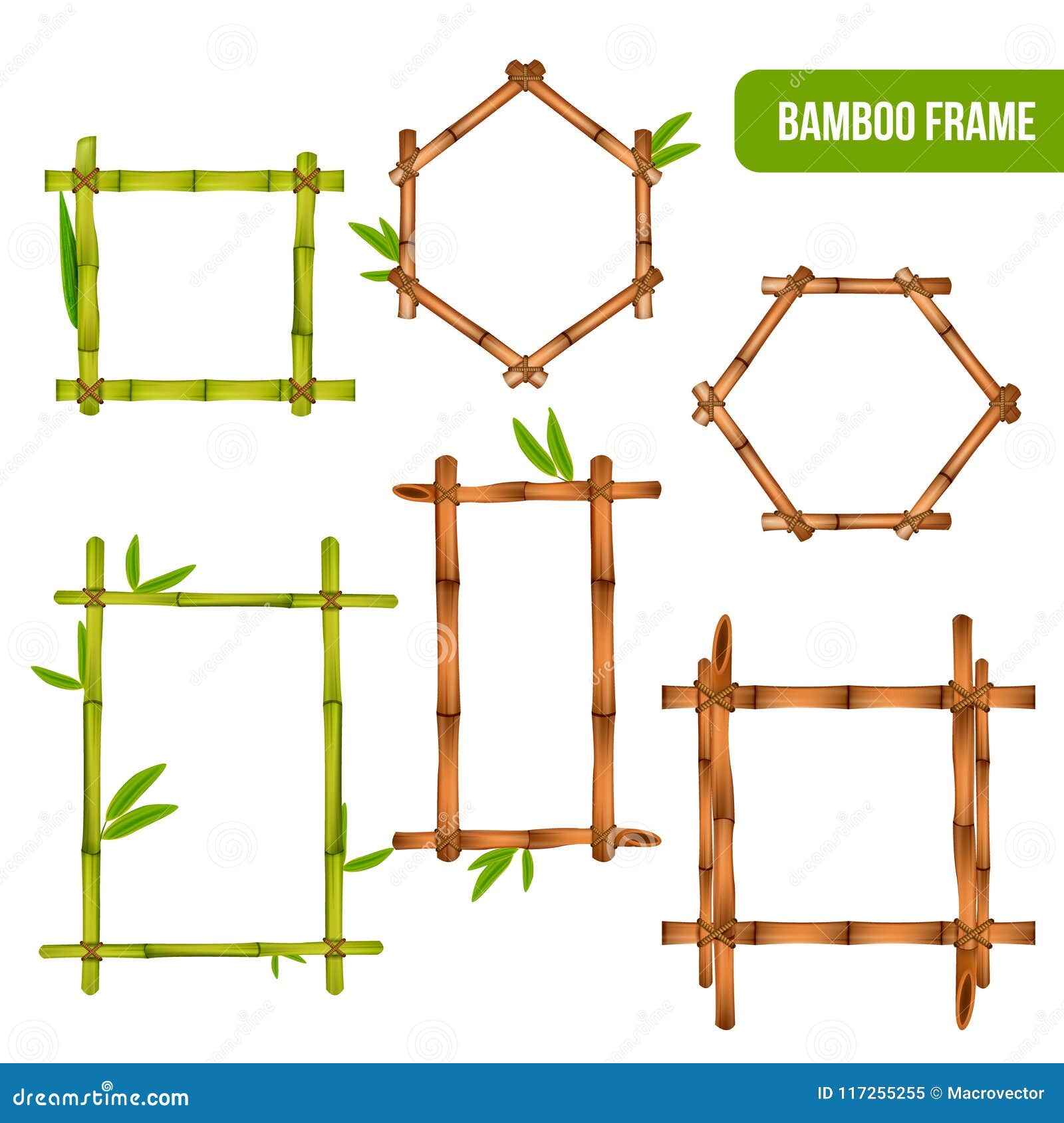 Bamboo Frames Realistic Set Stock Vector - Illustration of foliage ...