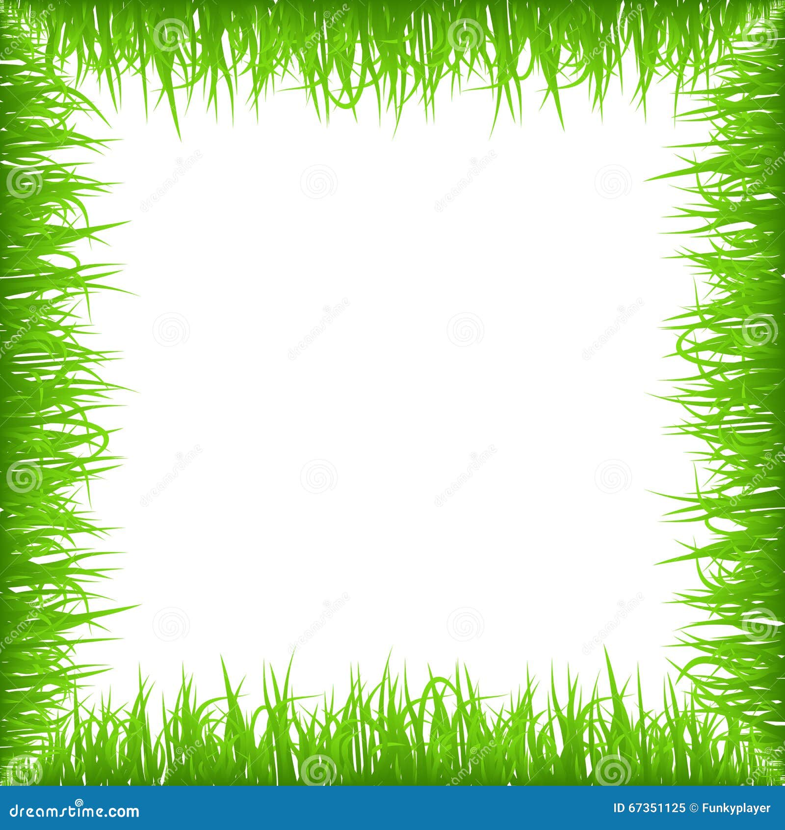 Green Early Spring Grass Frame Isolated On White Background. Realistic ...