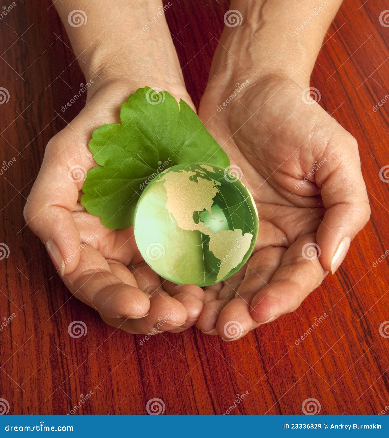Green Earth stock image. Image of protection, globalization - 23336829