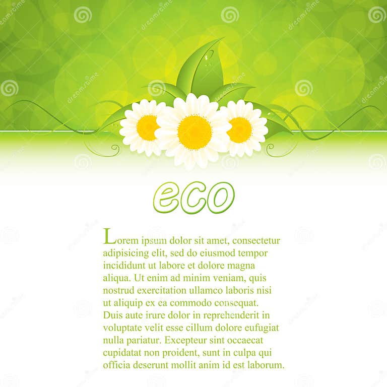 Green eco frame stock vector. Illustration of blank, flowers - 19855408