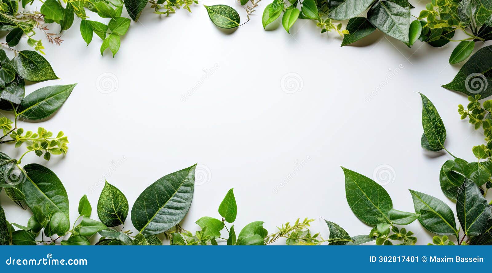 Green Eco-friendly Background with Leaves for Banner or Website Design ...