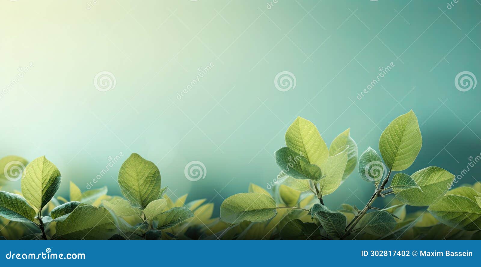 Green Eco-friendly Background with Leaves for Banner or Website Design ...