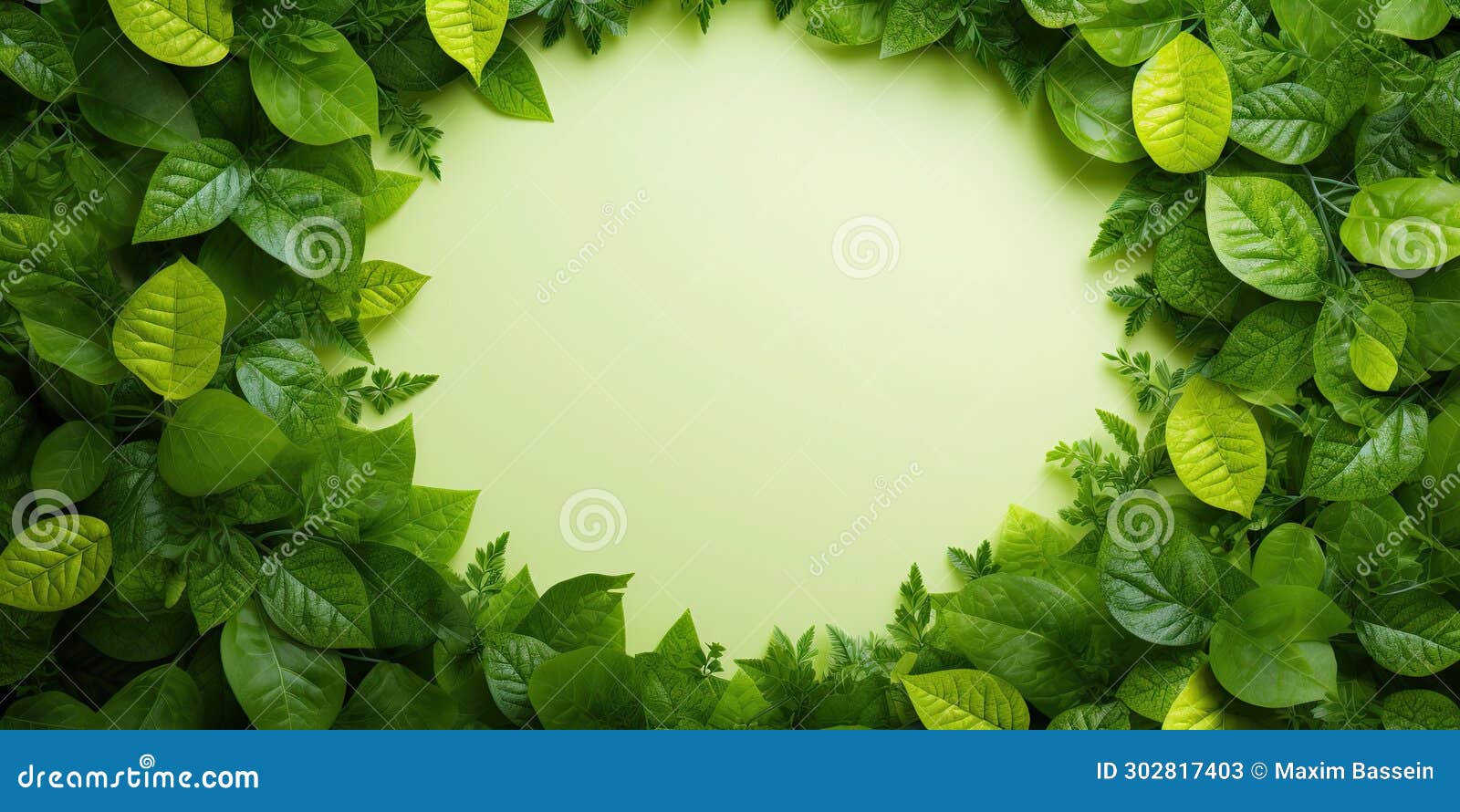 Green Eco-friendly Background with Leaves for Banner or Website Design ...