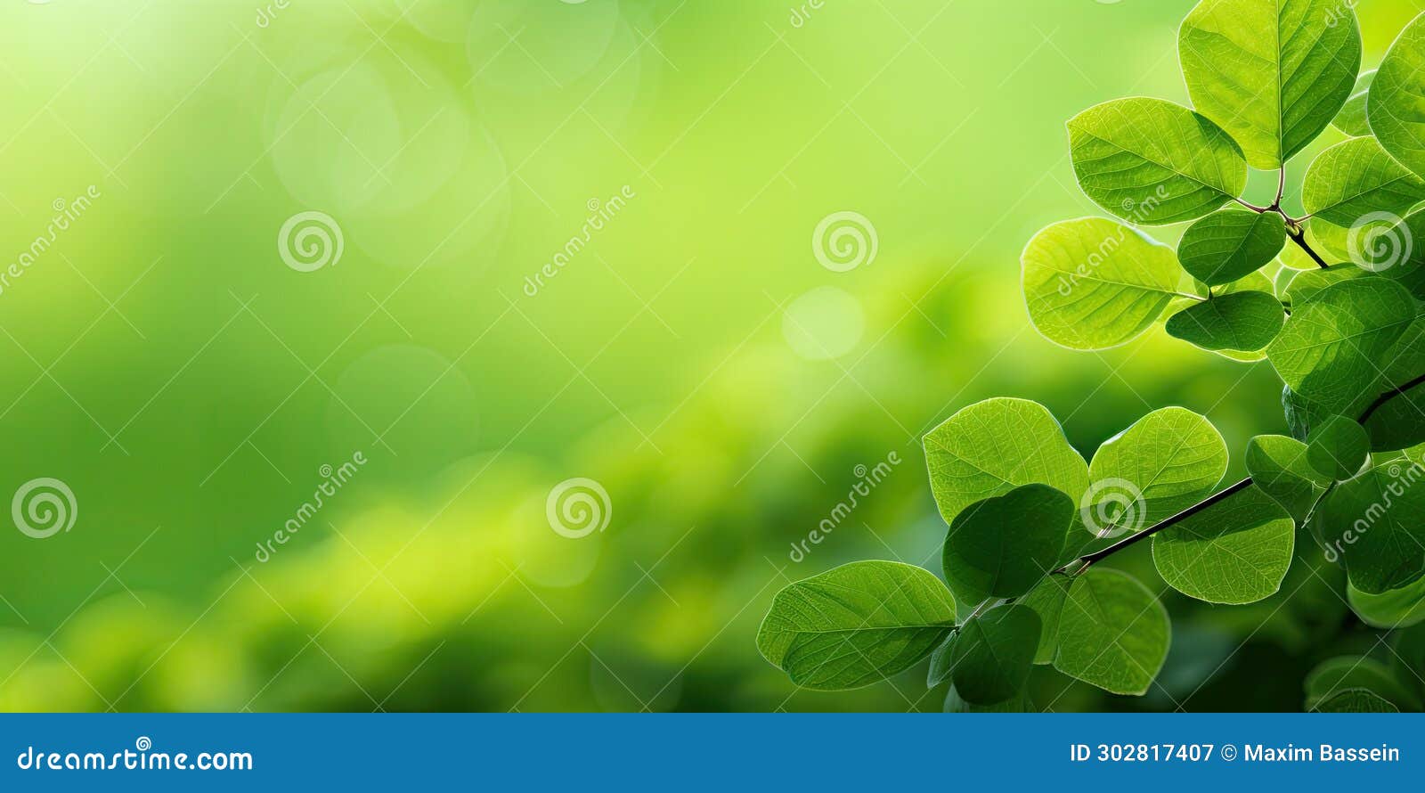 Green Eco-friendly Background with Leaves for Banner or Website Design ...