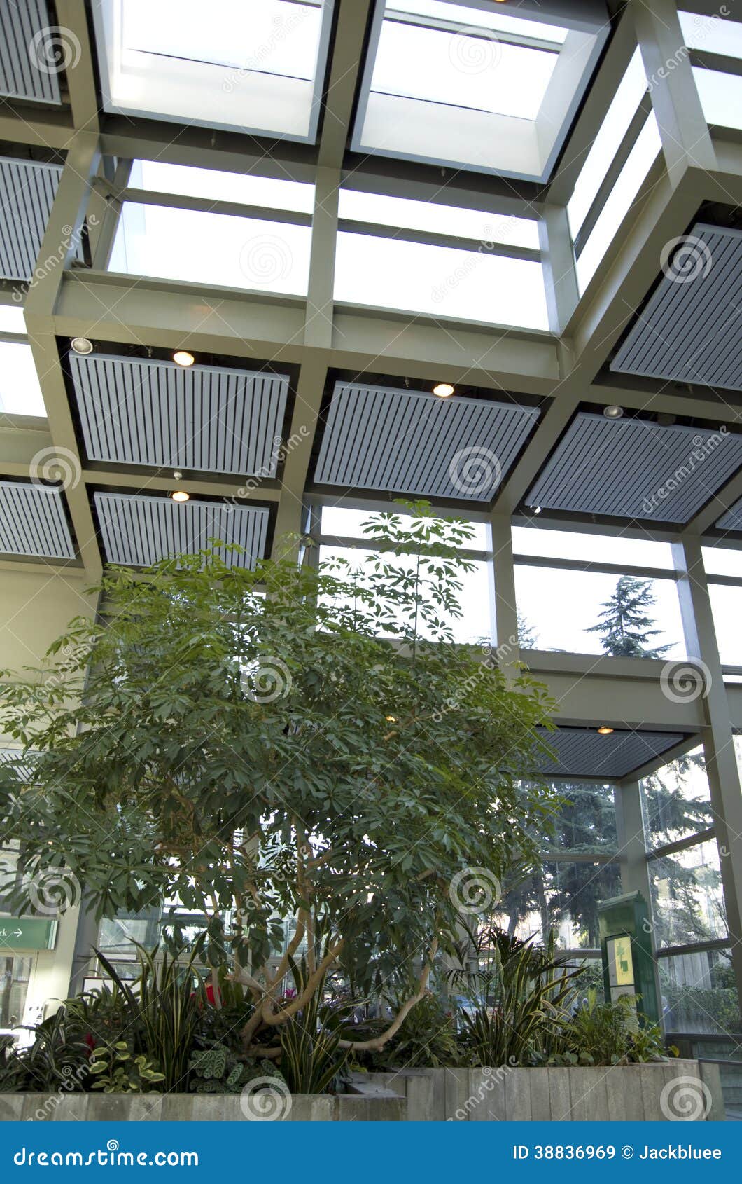 Green Eco Office Building Interiors Natural Light Stock Image - Image ...
