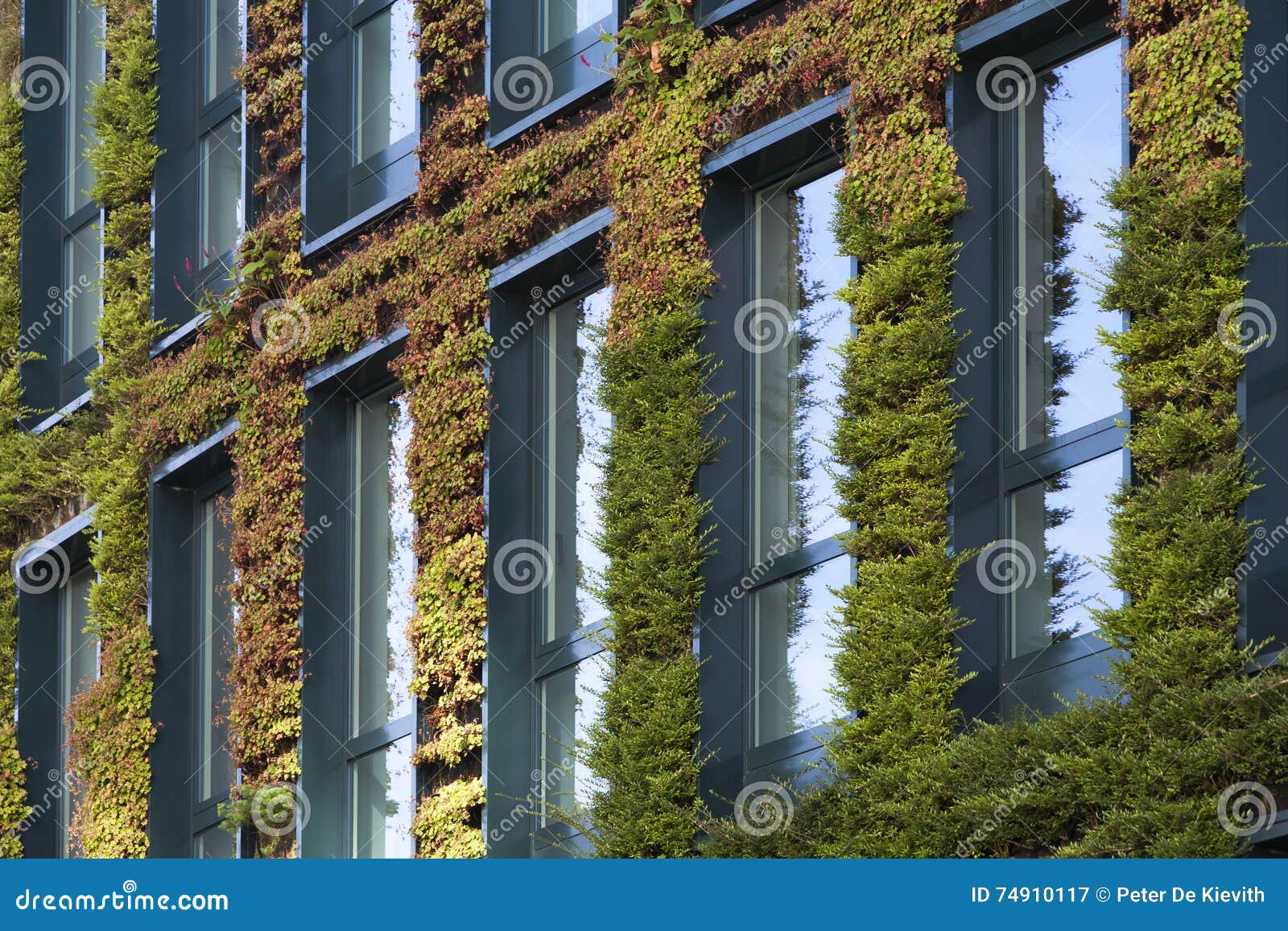 Green ecological wall stock image. Image of decoration - 74910117