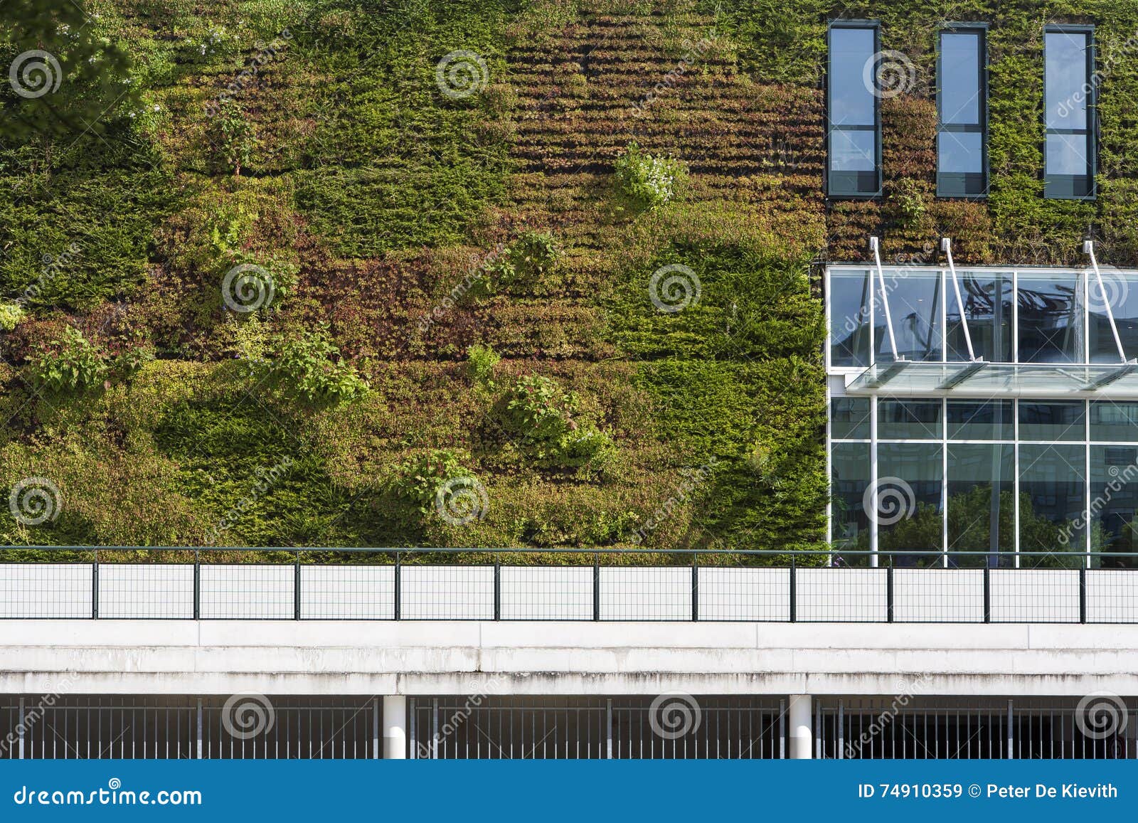 Green ecological wall stock image. Image of foliage, growth - 74910359
