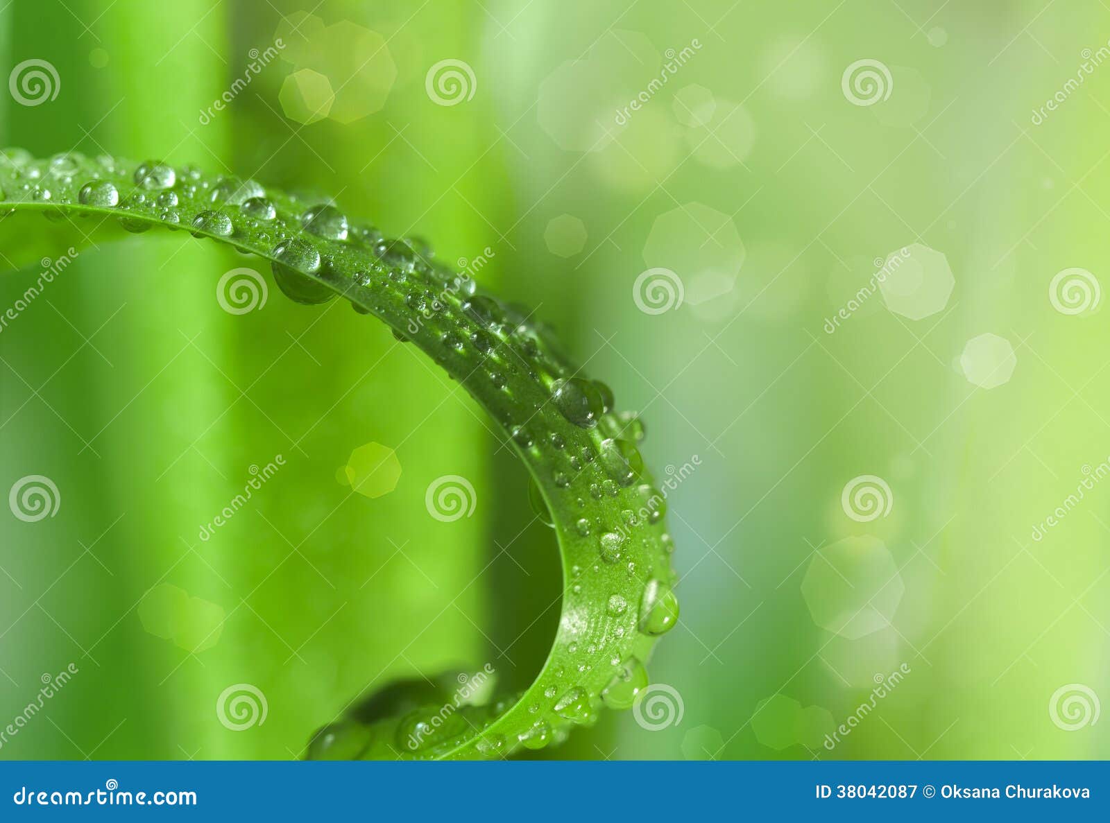 Green ecology background stock image. Image of raindrop - 38042087