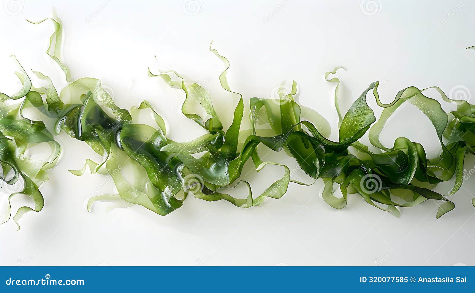 Green Edible Algae Sea Weed Stock Image - Image of stalk, leaf: 320077585
