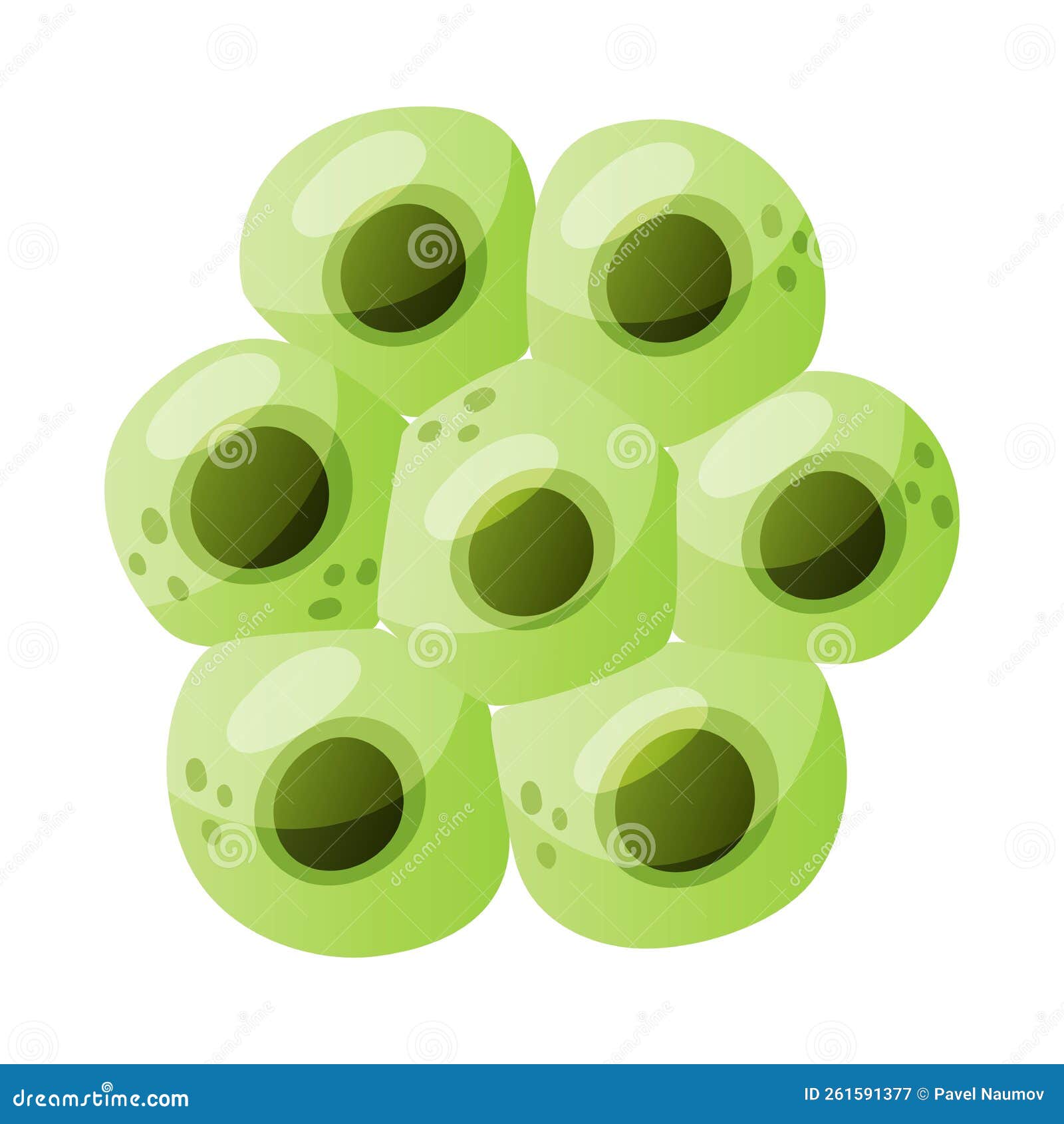 Frogspawn Egg Of Frog With Embryo In Flat Style Isolated On White ...